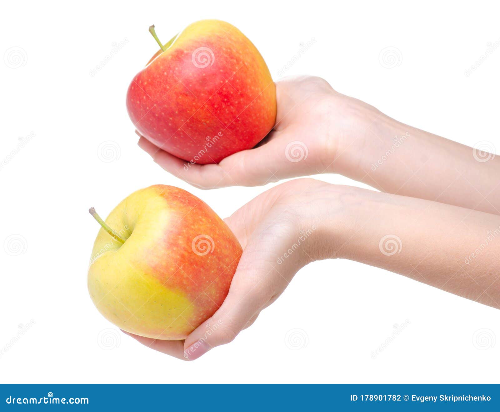 Apple in hand stock photo. Image of holding, health - 178901782