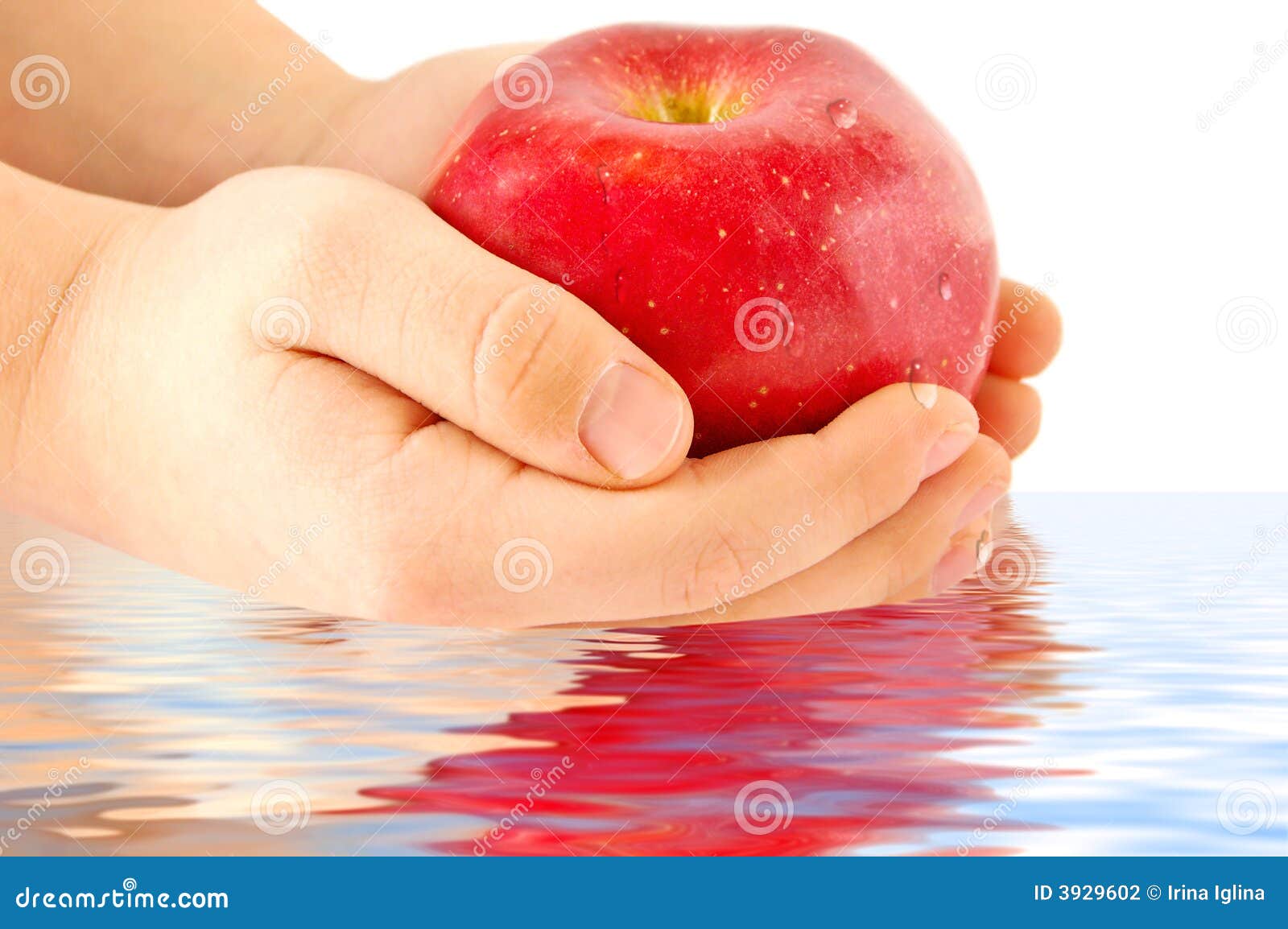 Apple in hands stock photo. Image of crisp, close, hands - 3929602
