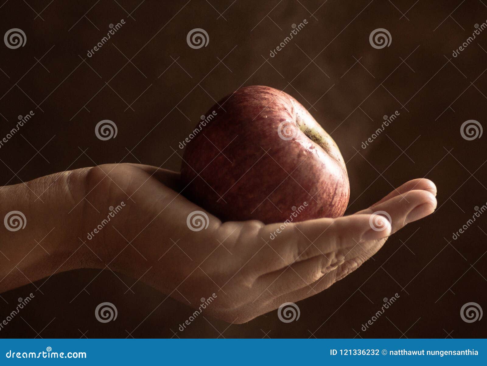 Apple is in the Hands Behind the Fruit Stock Photo - Image of beauty ...