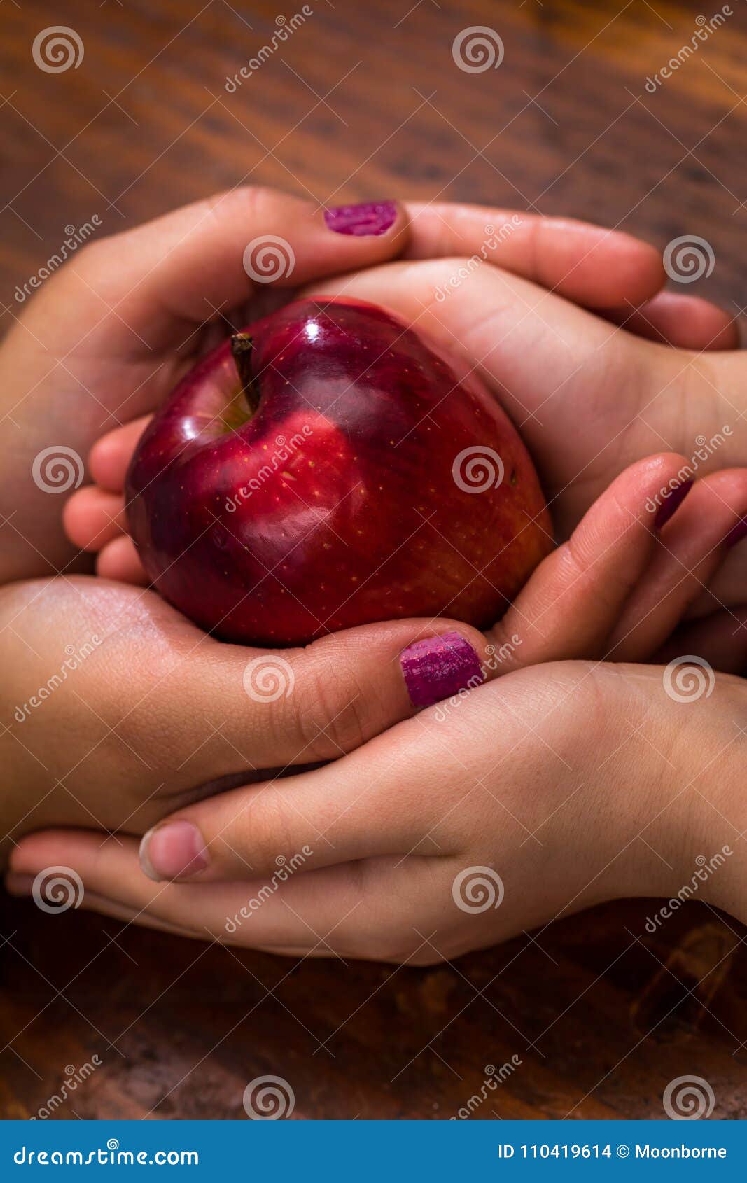 Apple in Hands stock photo. Image of organic, girl, harvesting - 110419614