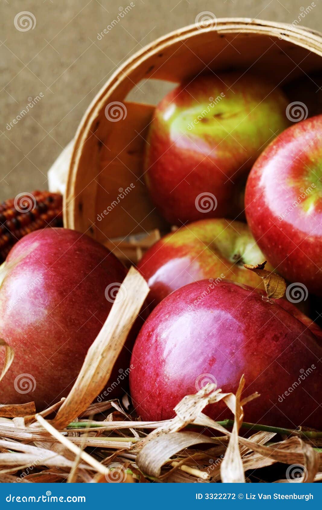 Apple Harvest stock photo. Image of food, market, fall - 3322272