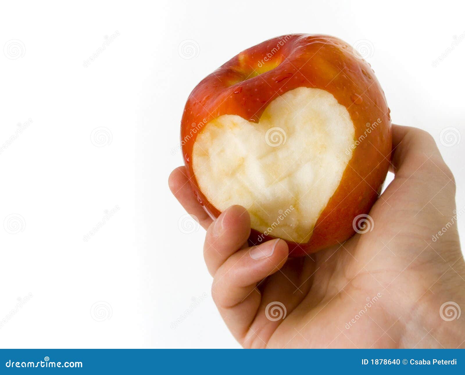 Apple with heart 02 stock photo. Image of love, heart - 1878640
