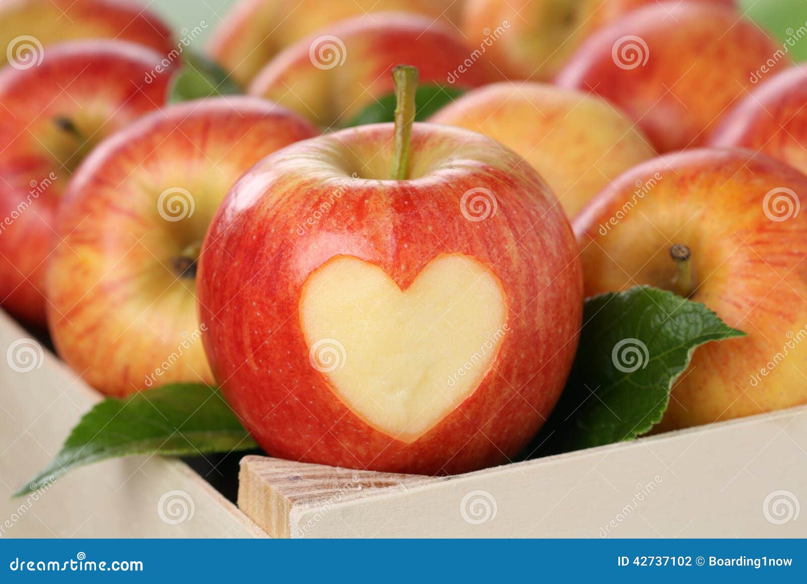 Apple with Heart Love Topic Stock Photo - Image of healthy, harvesting ...