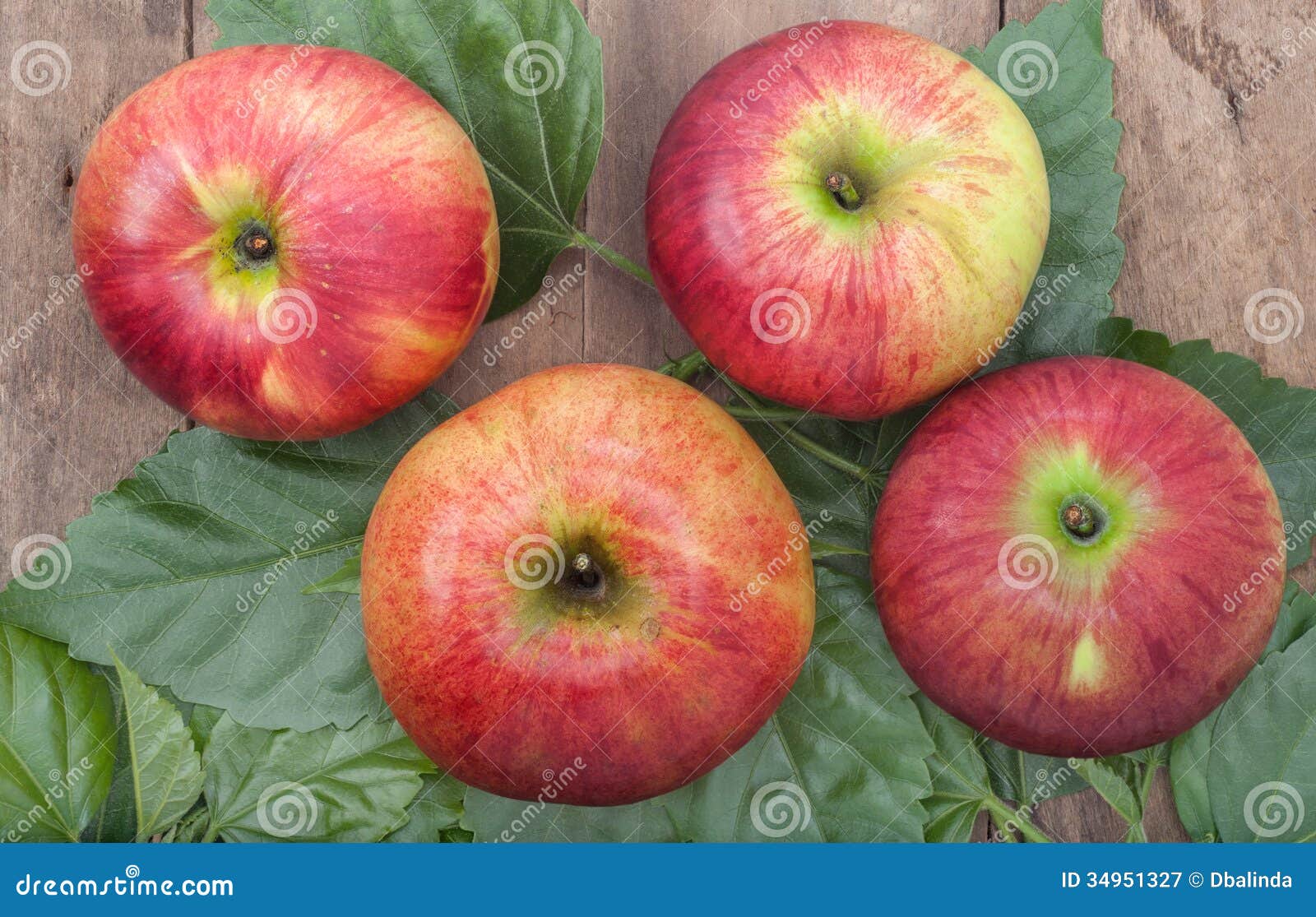 Apple Idared image stock. Image du rustique, manger, rouge - 34951327