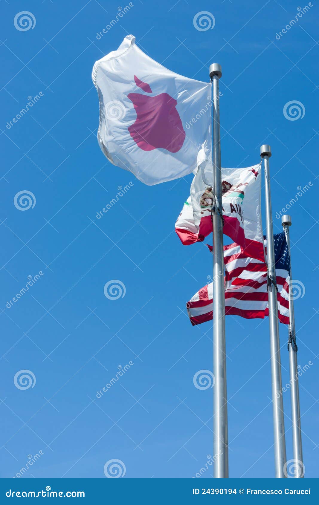 Apple Inc Flag editorial stock image. Image of flag, pink - 24390194