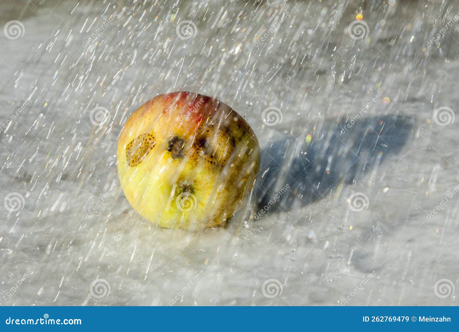 Apple with Interesting Deformations Looking Like a Face Stock Image ...
