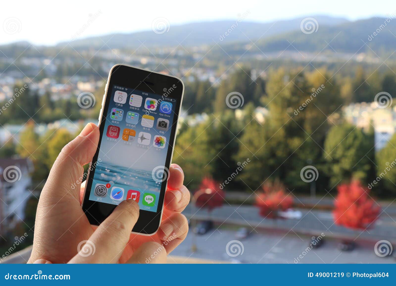 Nature Background Wallpaper Banni Market Editorial Image ...