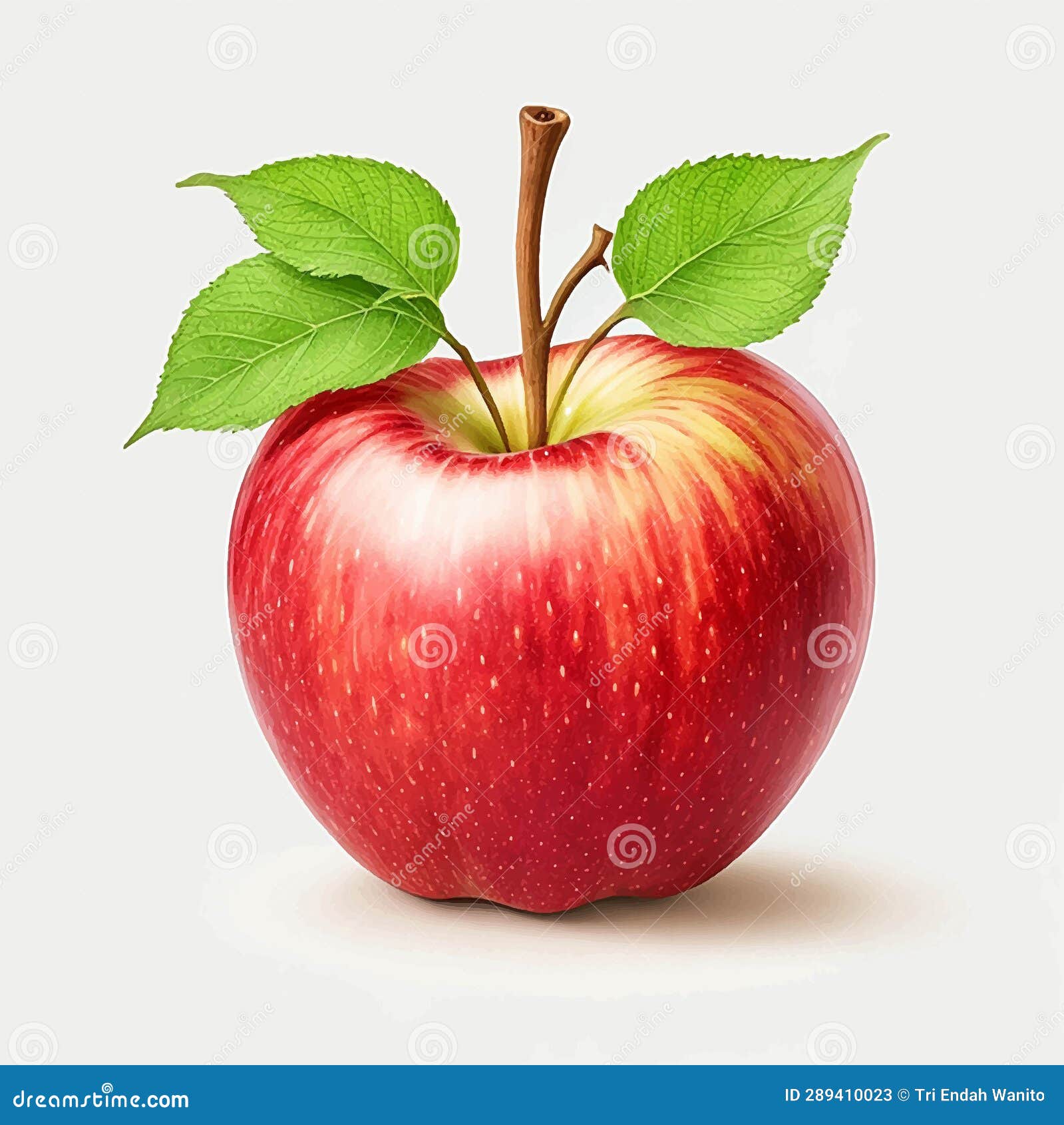 An Apple Isolated on Blank Background Stock Illustration - Illustration ...
