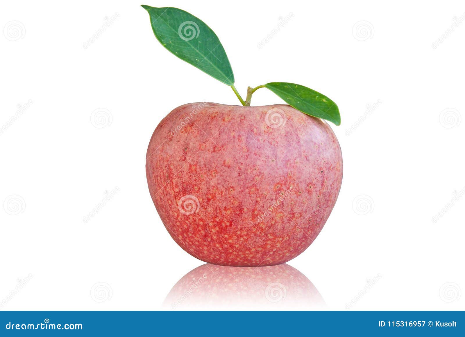 Red apple with isolation stock image. Image of white - 115316957