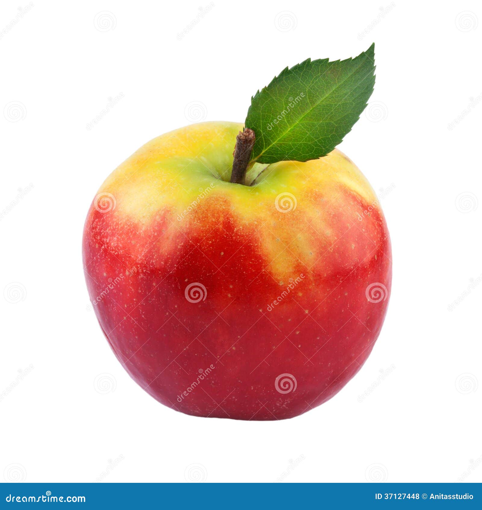 Apple isolated on white stock photo. Image of round, jelly - 37127448