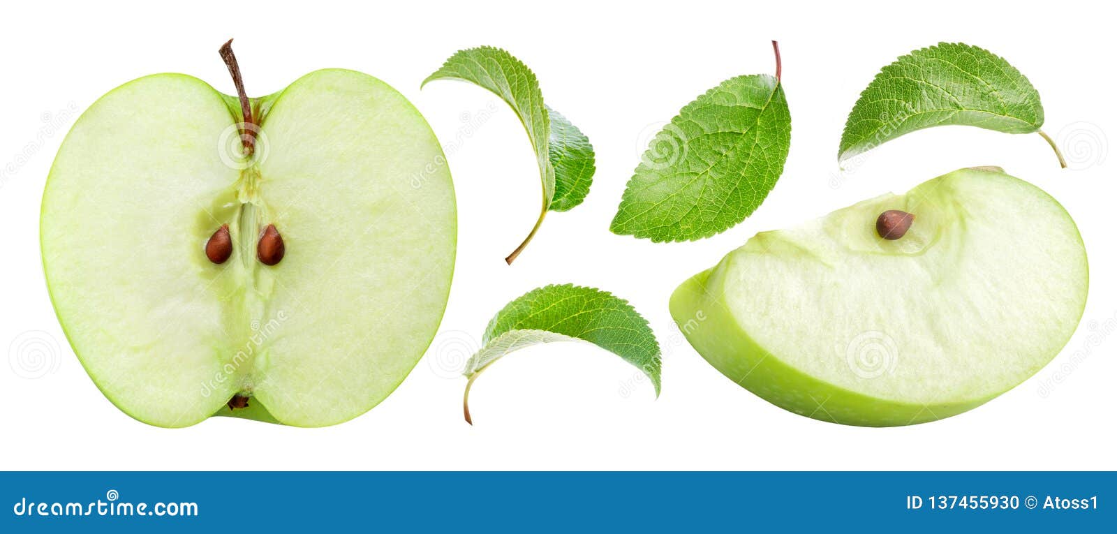 Apple isolated on white stock photo. Image of green - 137455930