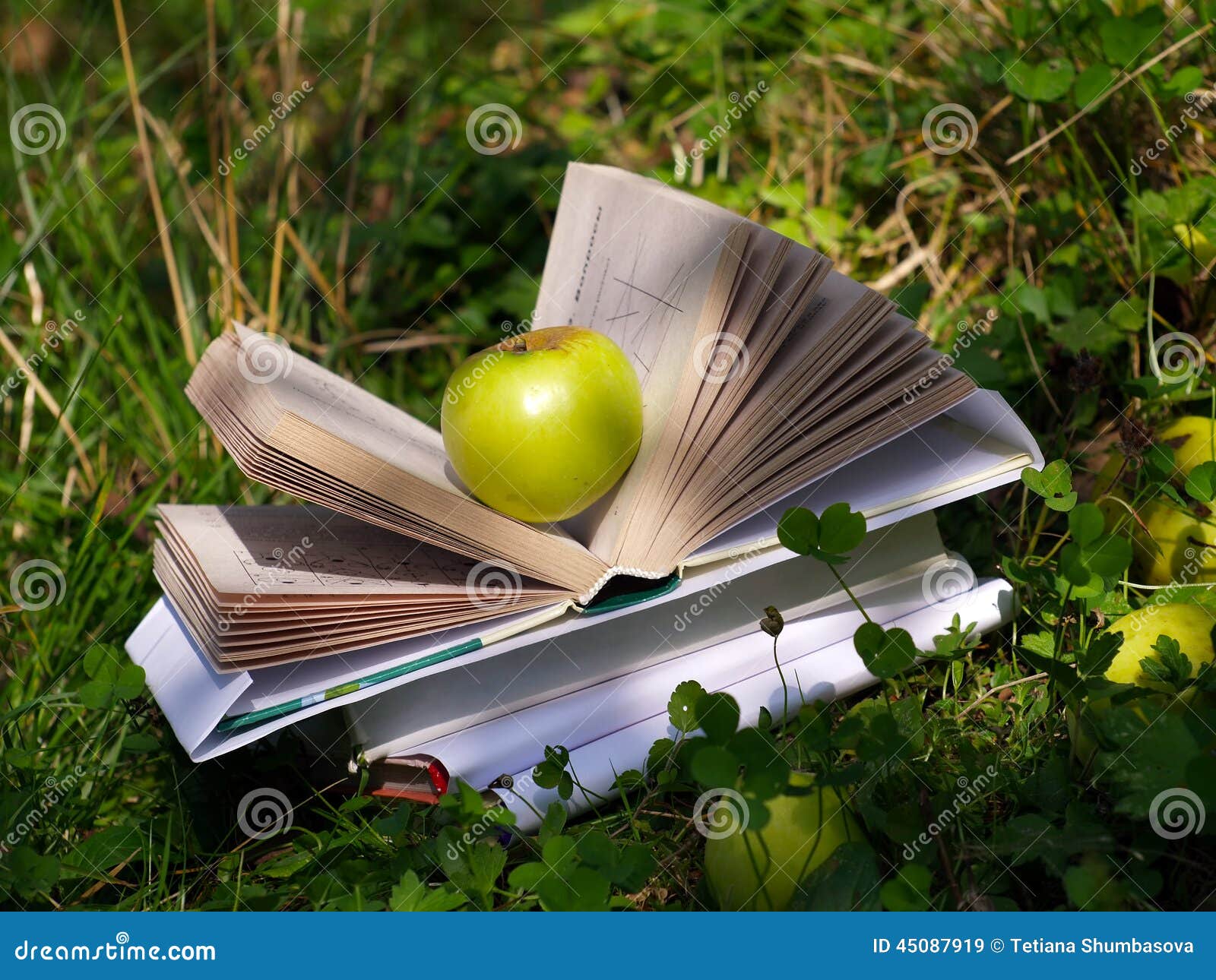 Apple of knowledge stock image. Image of garden, books - 45087919