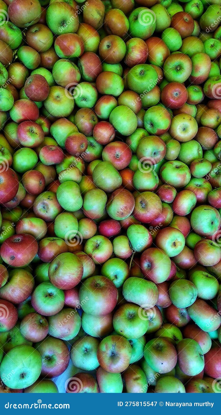 Apple Large Quantity Picture Stock Image - Image of pile, background ...