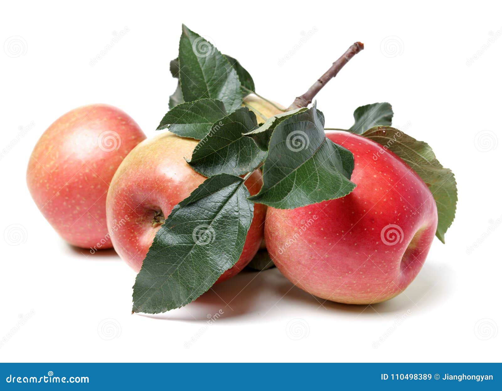 Apple with leaves stock image. Image of fresh, eatable - 110498389