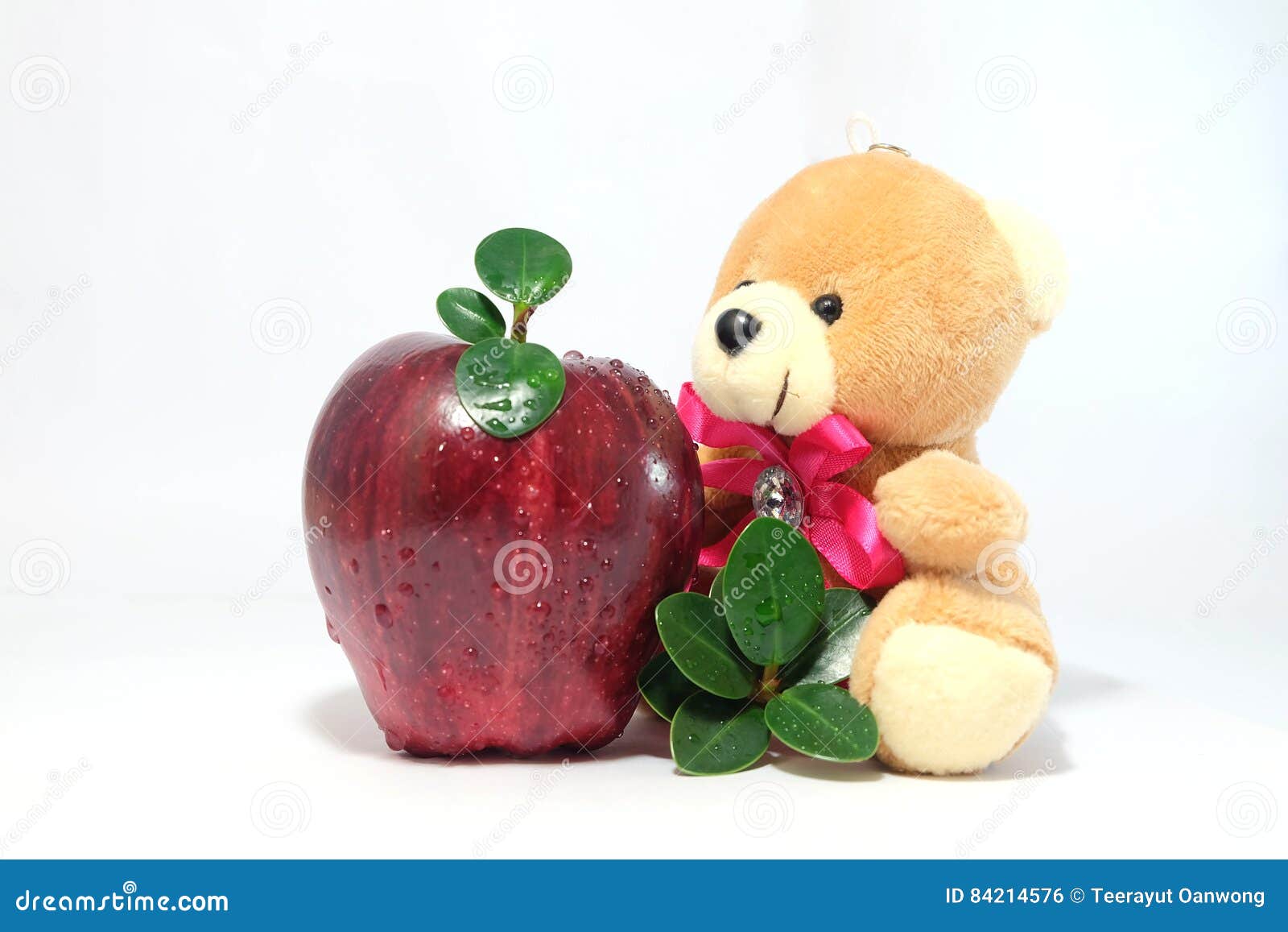 Apple Leaves and Teddy Bear. Stock Photo - Image of juicy, fresh: 84214576