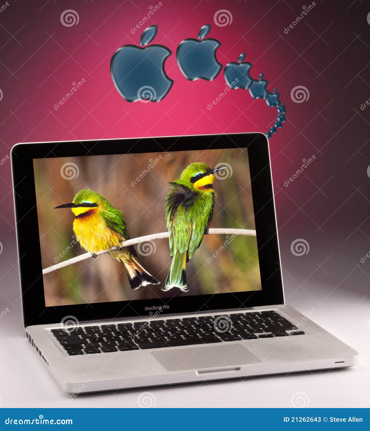 Lps Printable Apple Laptop