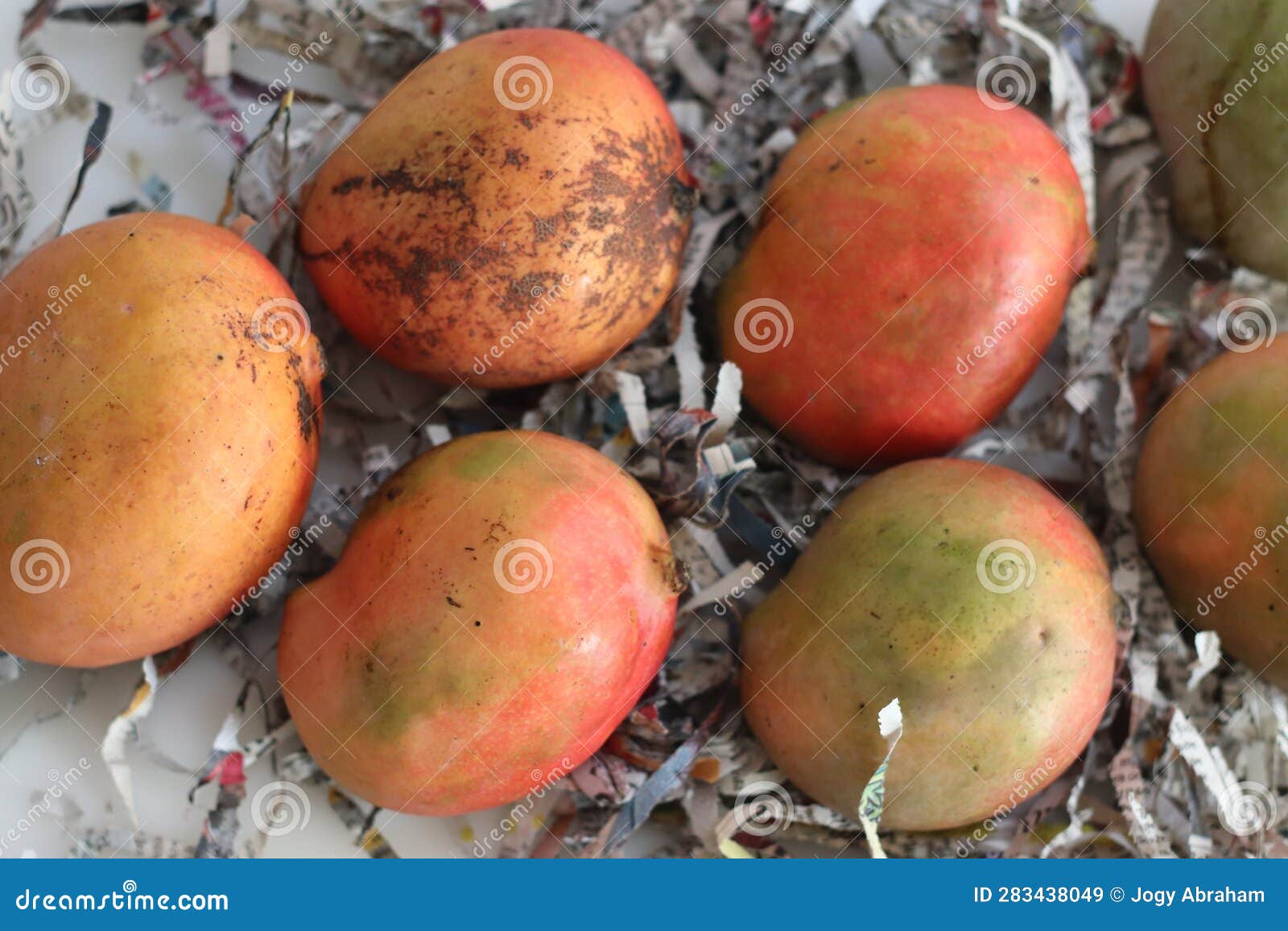Apple Mango or Ataulfo Mango, is a Variety of Mango from the Tropical ...