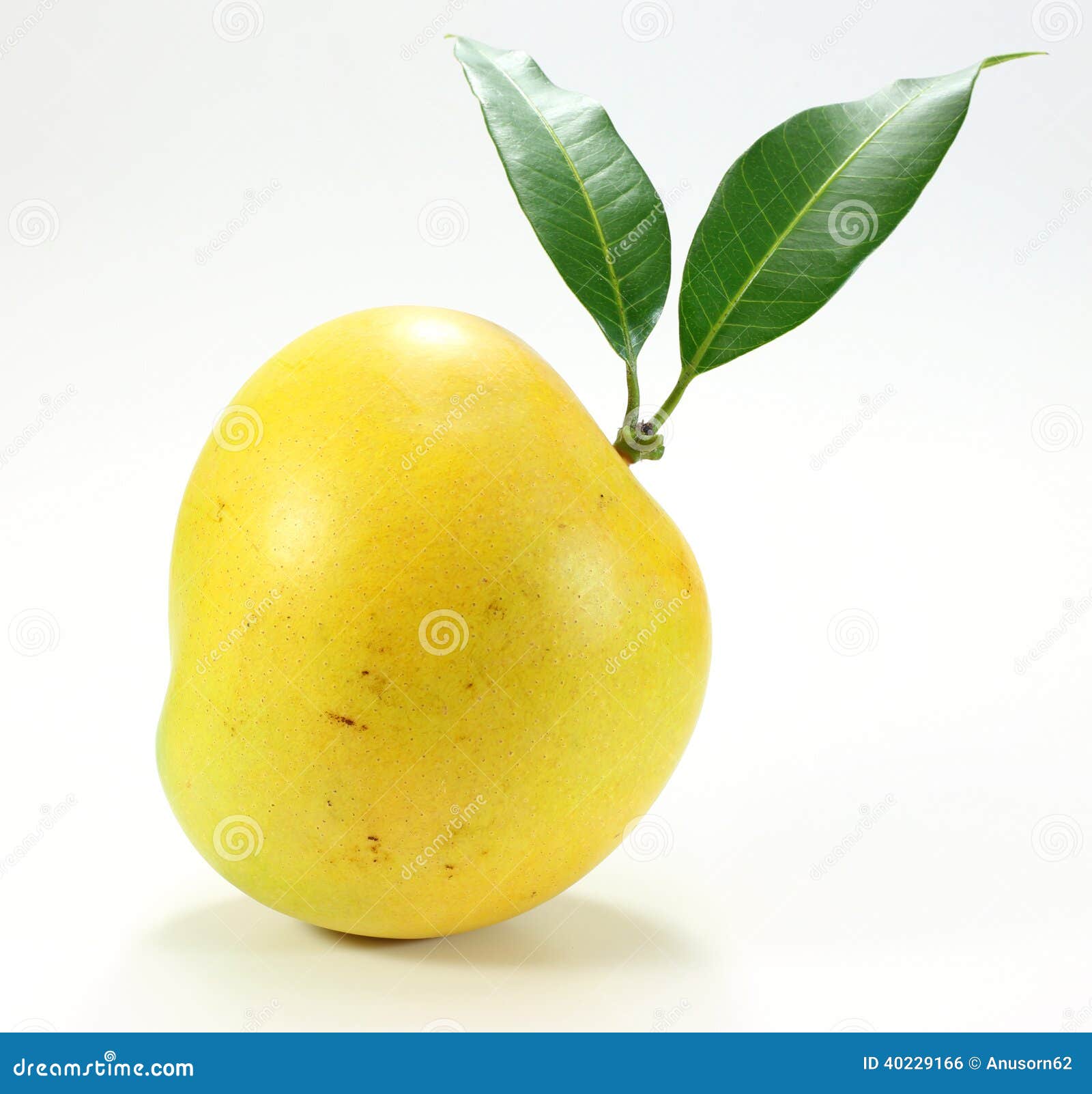 Apple And Mango Pieces On Bird Kabob Stainless Steel Skewer With ...