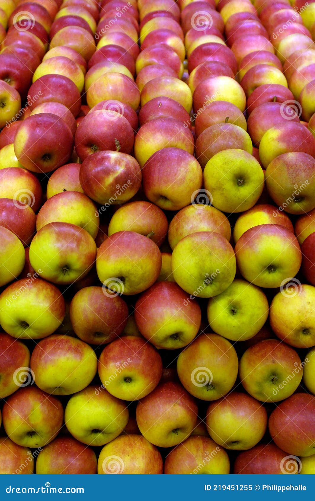 Apple on the market stock image. Image of fruit, tart - 219451255