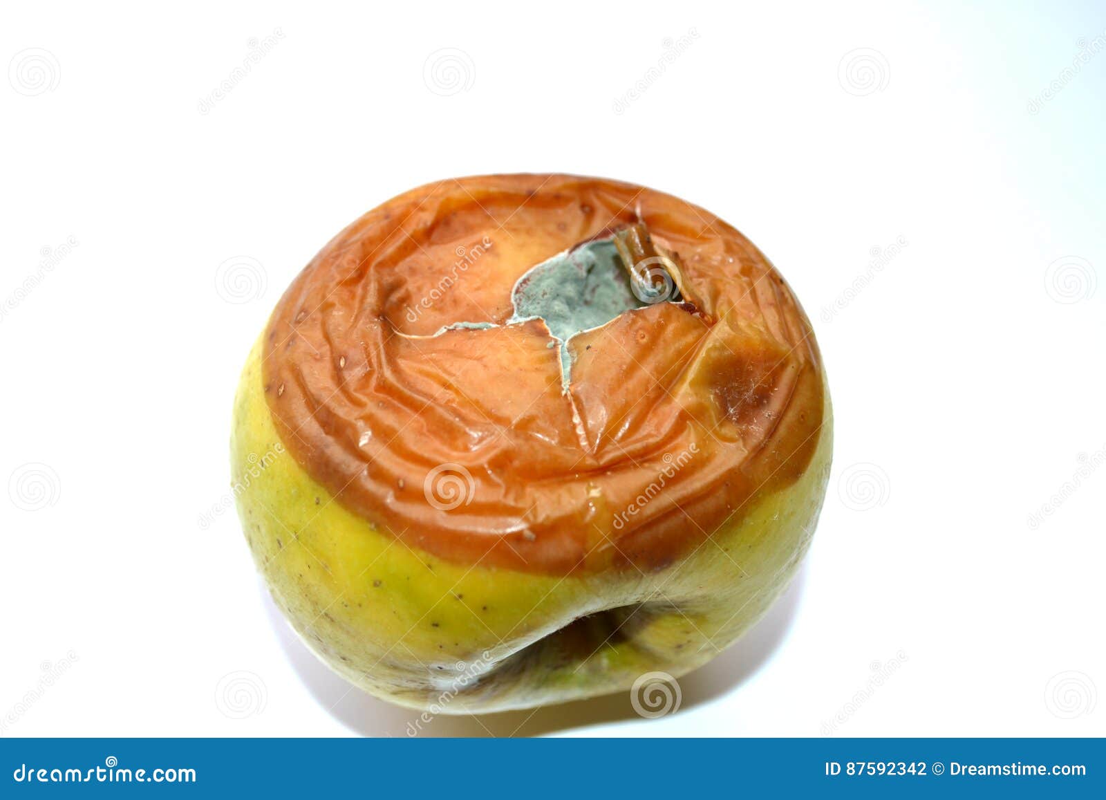 Apple with mold 2 stock photo. Image of fruit, nature - 87592342
