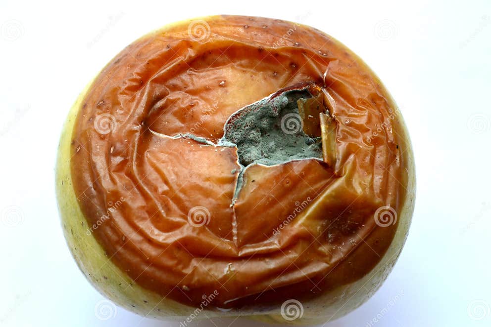 Apple with mold stock photo. Image of apple, apples, elements - 87592448
