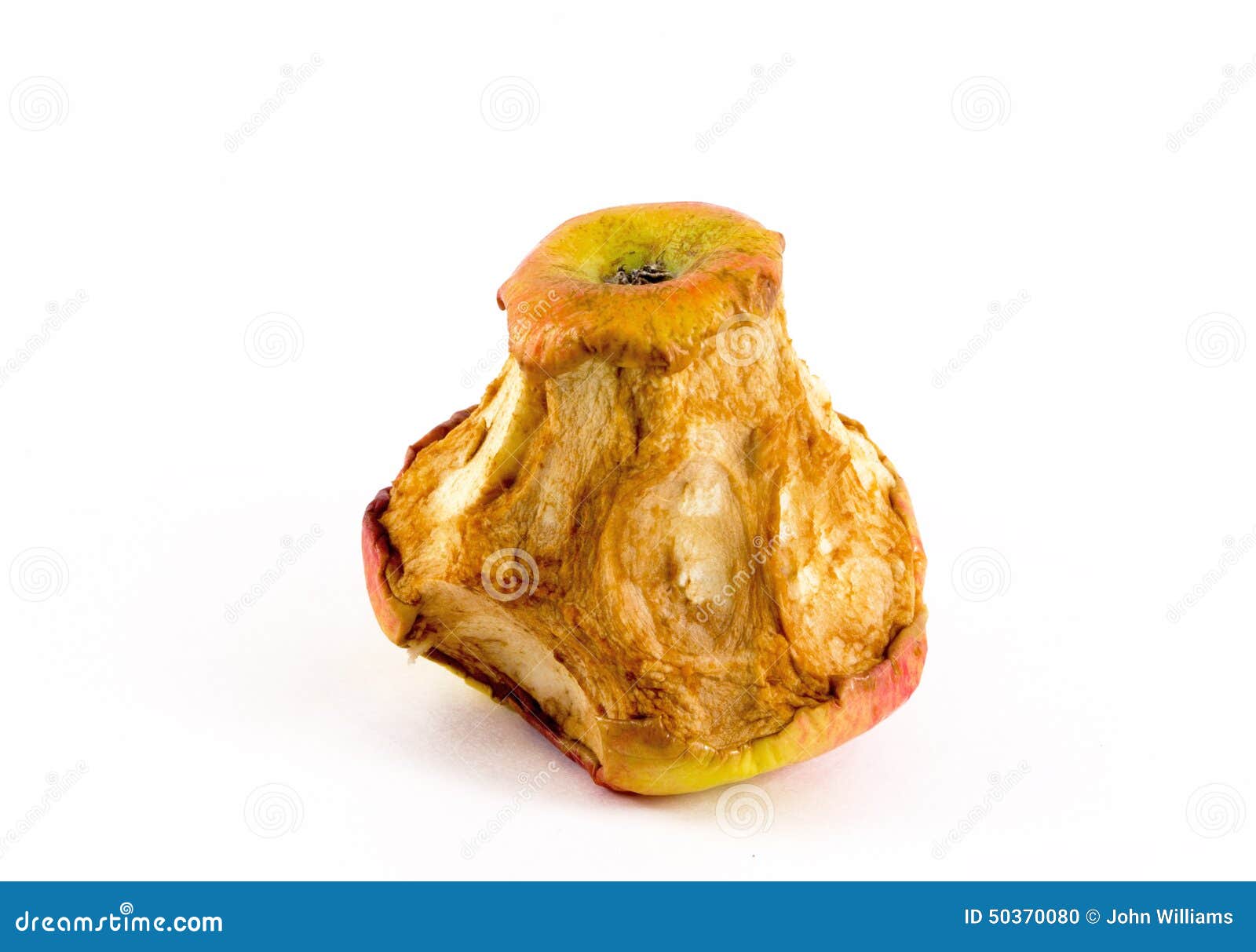 Apple with Mould on White stock photo. Image of people - 50370080