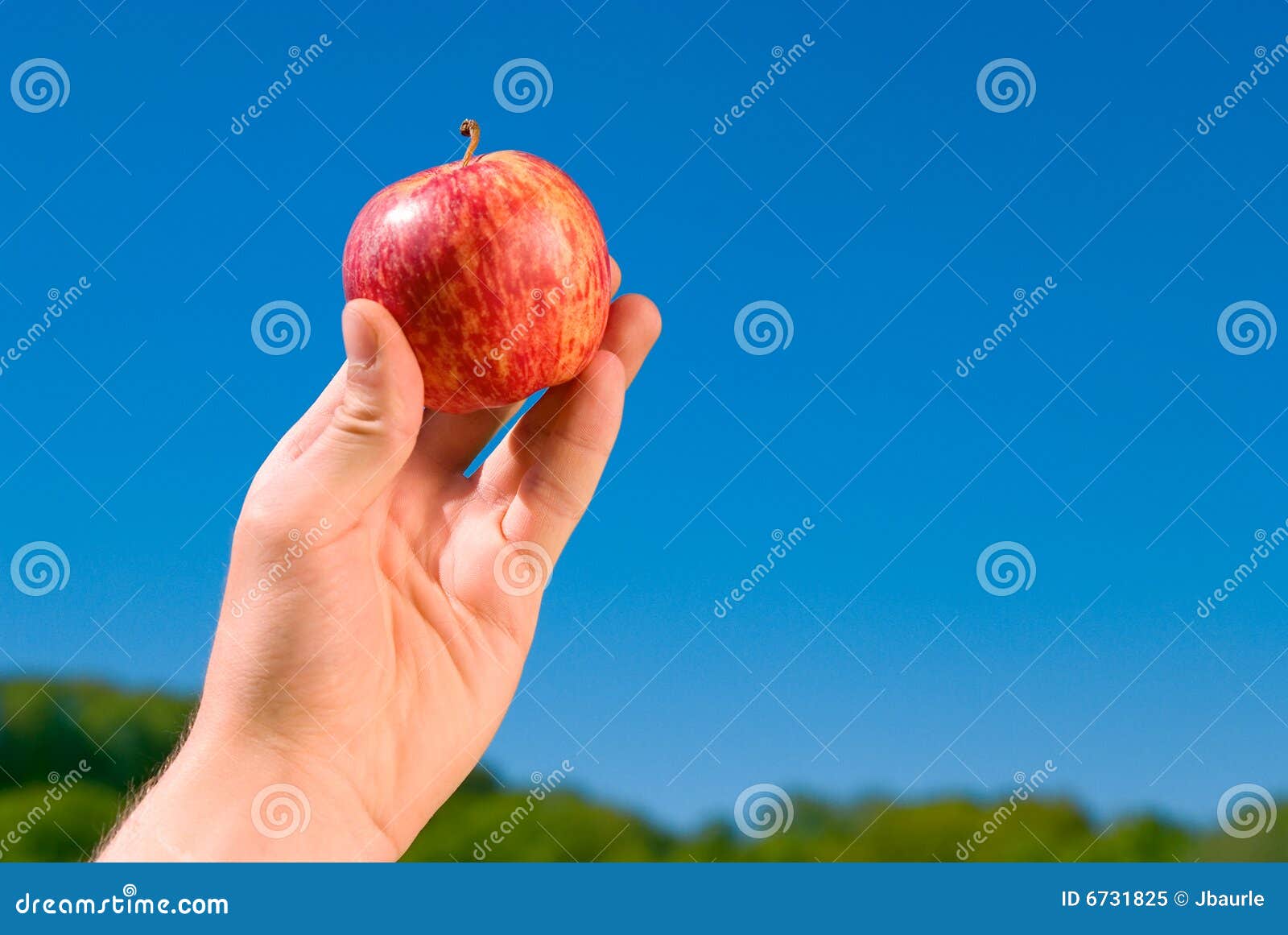 Apple in my hand stock image. Image of outdoors, hold - 6731825
