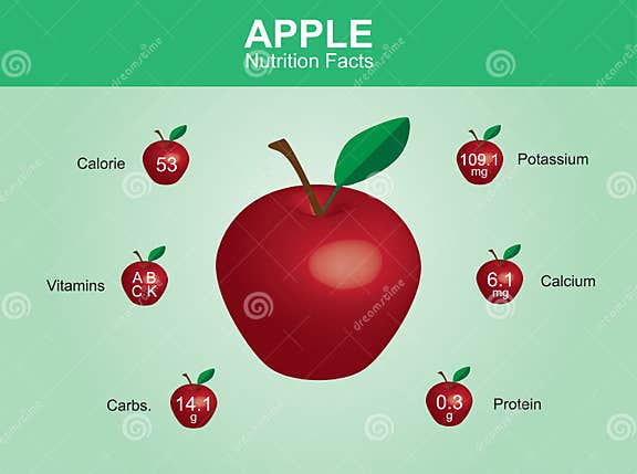 Apple Nutrition Facts, Apple Fruit with Information, Apple Vector Stock ...