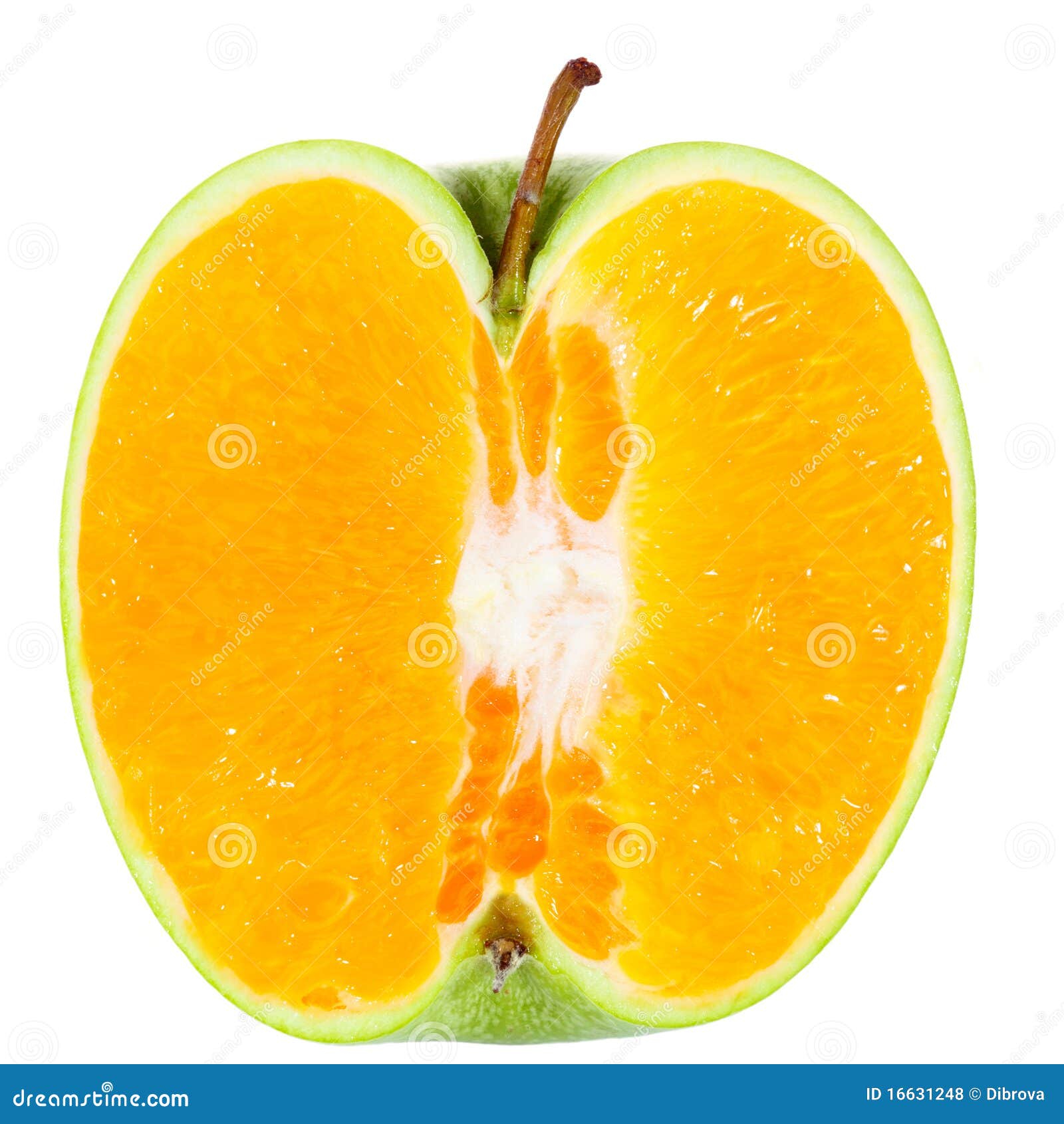 Apple Orange stock photo. Image of isolated, fruit, green - 16631248