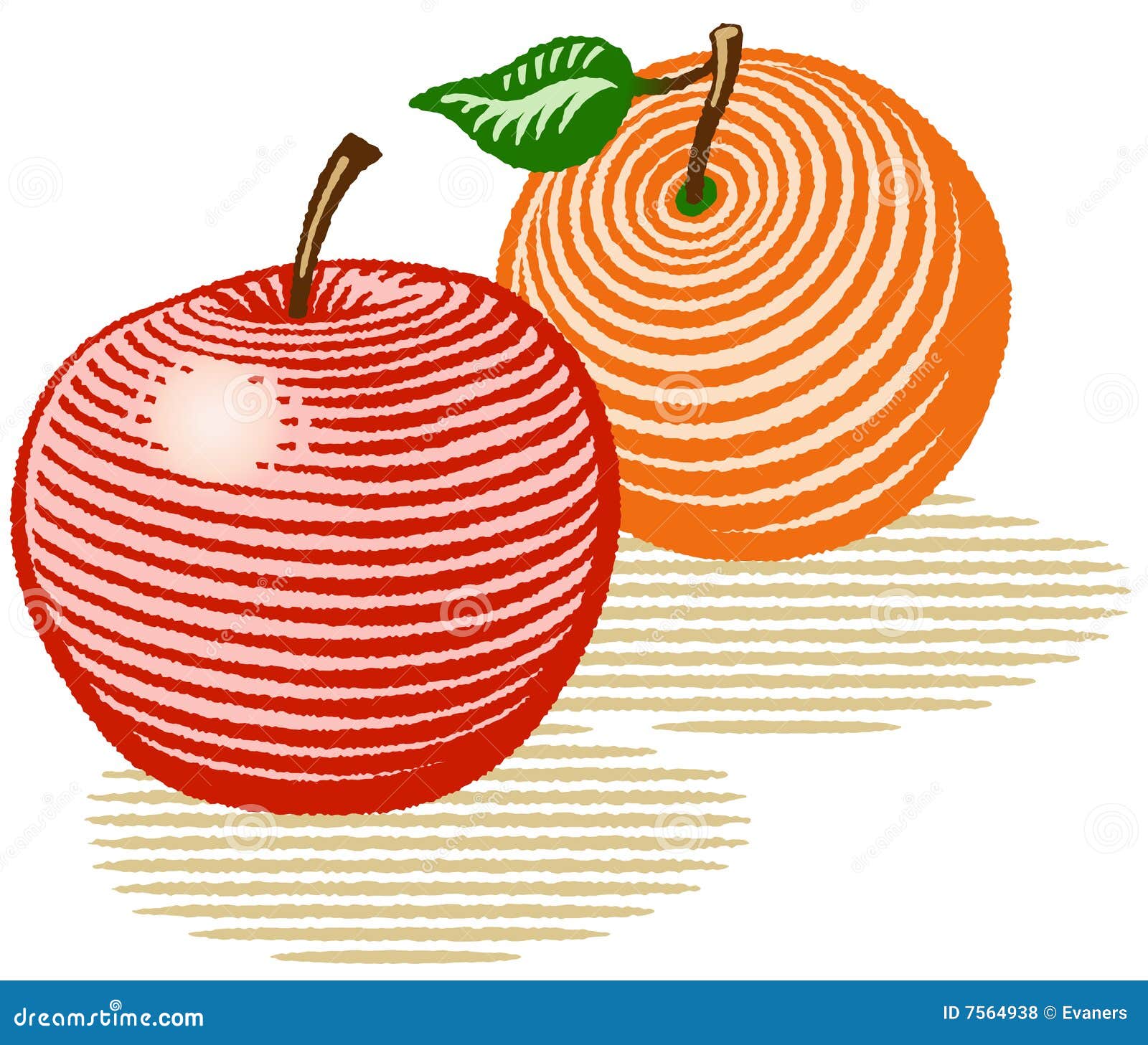 Apple and Orange stock vector. Illustration of fresh, green - 7564938