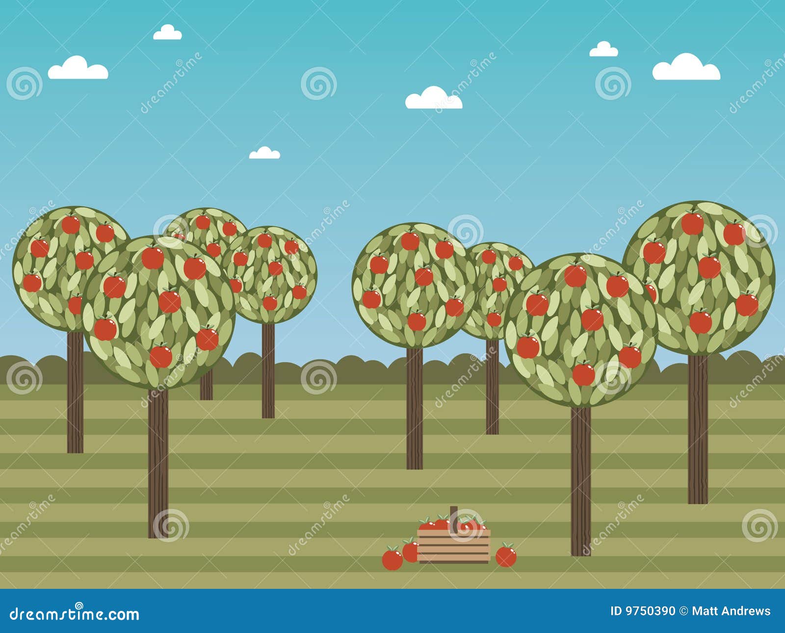 Apple orchard stock vector. Illustration of field, pick - 9750390