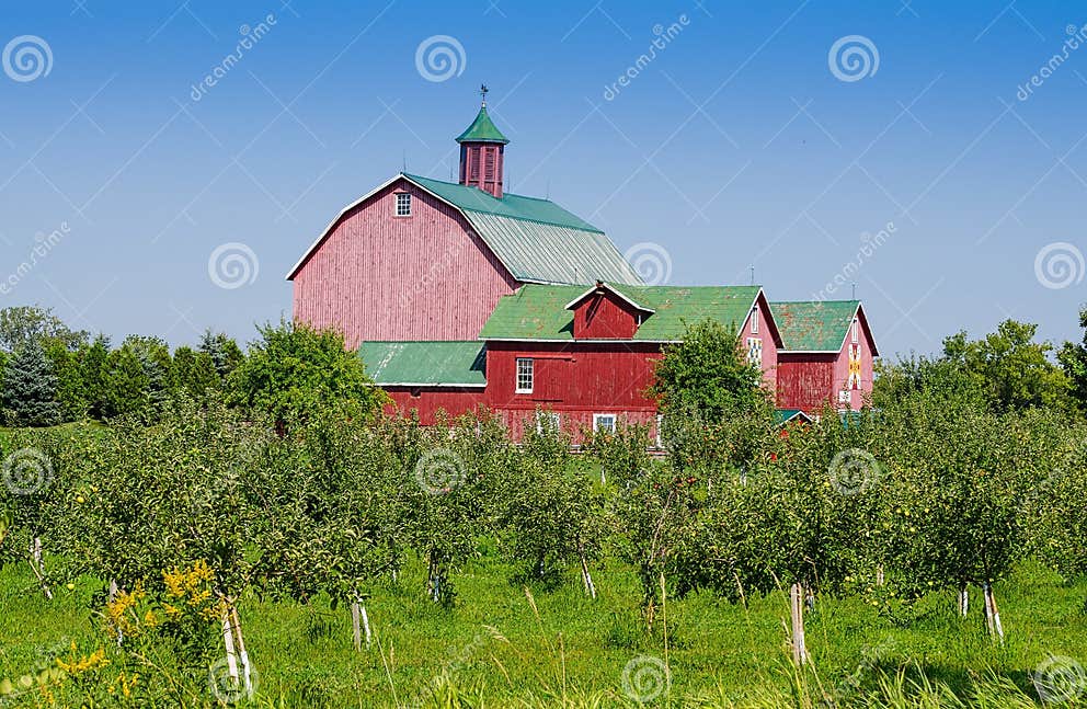 Apple orchard and barn stock image. Image of agriculture - 44345481