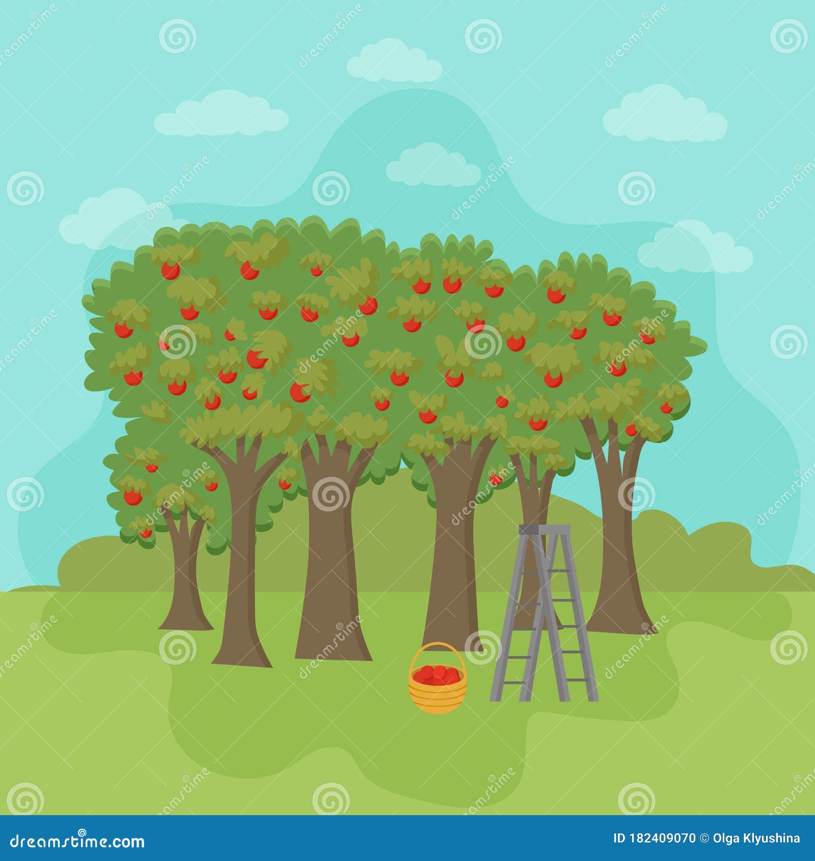 Apple Orchard with Basket of Apples. the Harvest of Apples. Vector ...