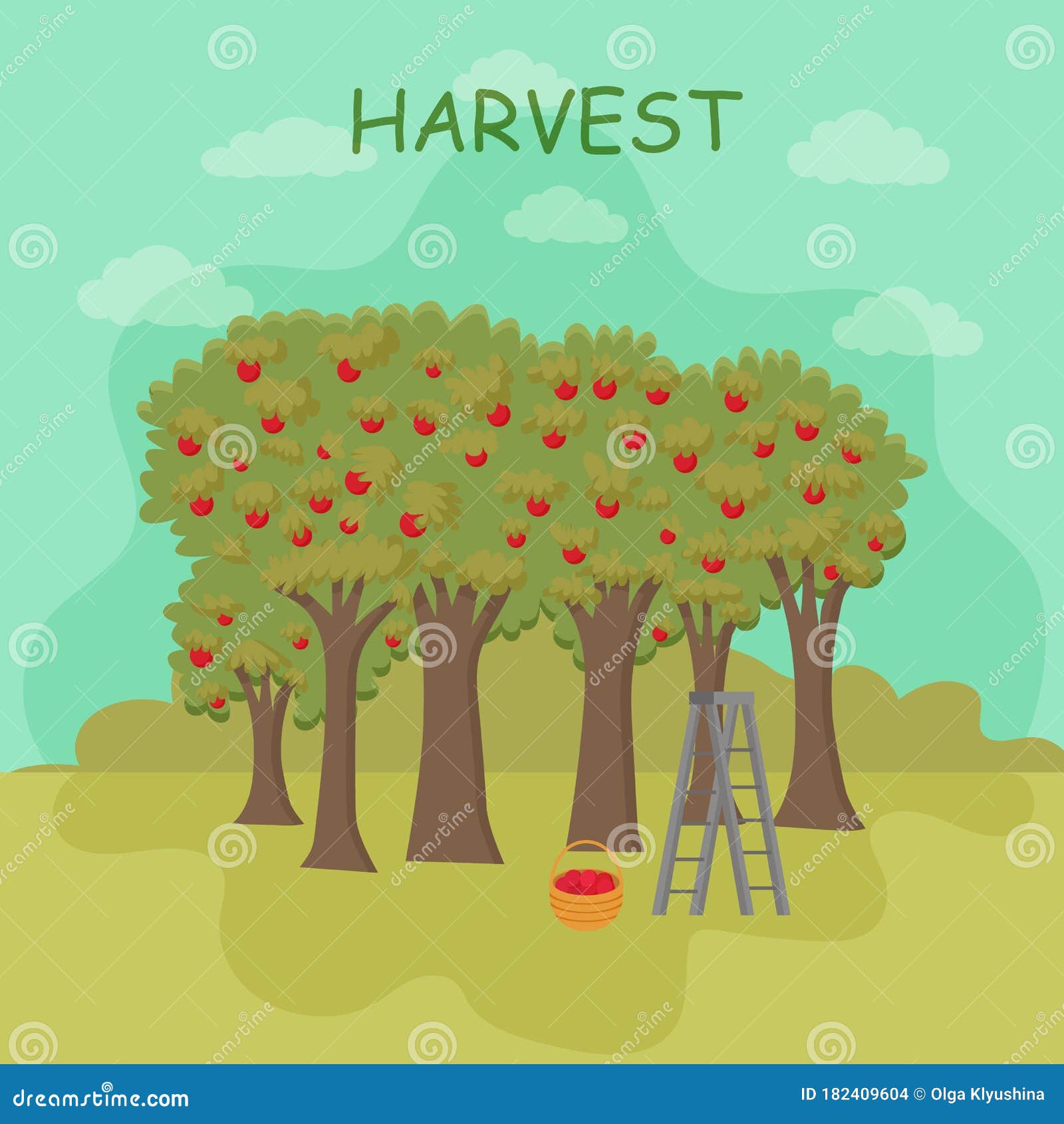 Apple Orchard with Basket of Apples. the Harvest of Apples. Vector ...