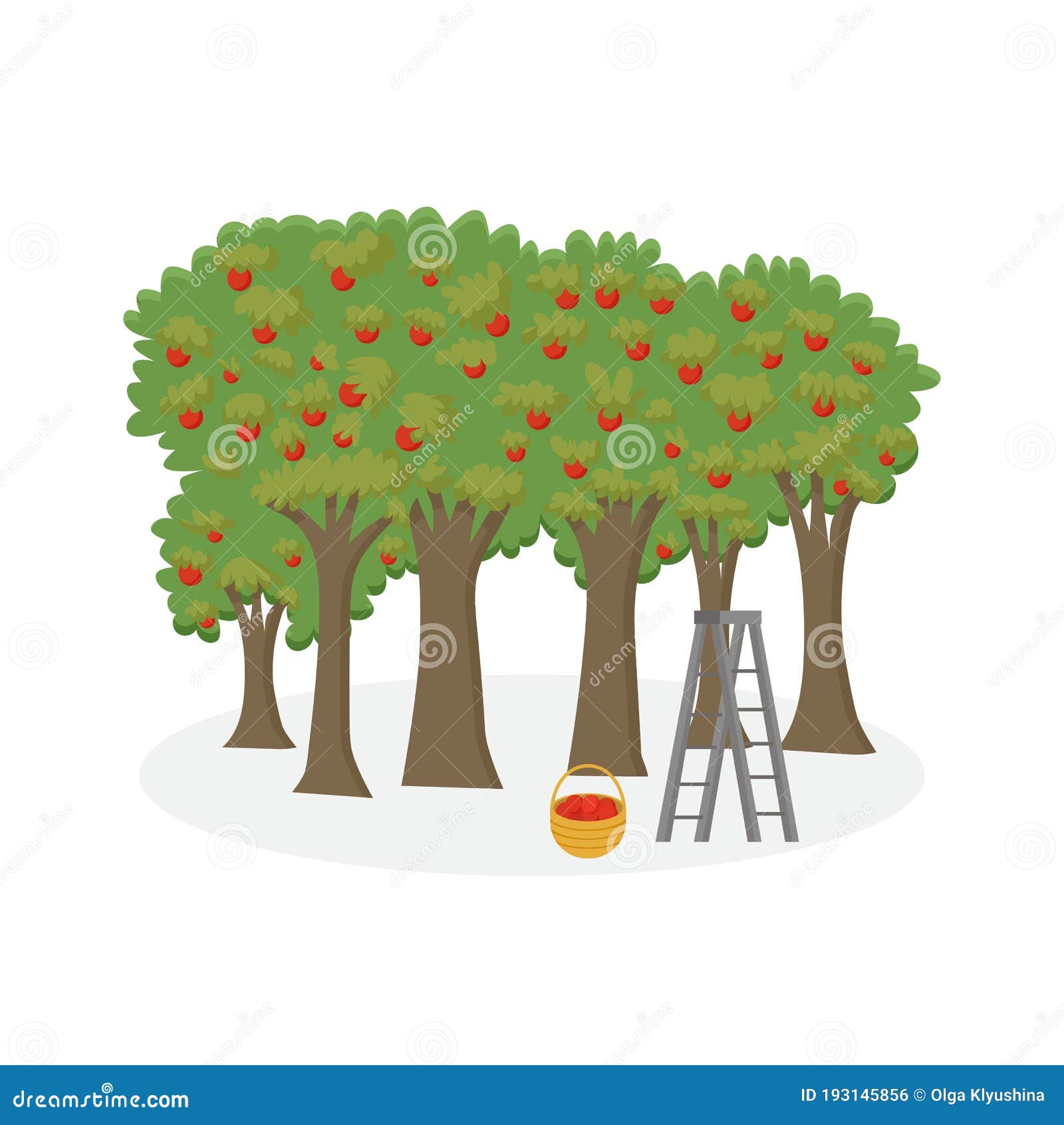 Apple Orchard with Basket of Apples. the Harvest of Apples Stock Vector ...
