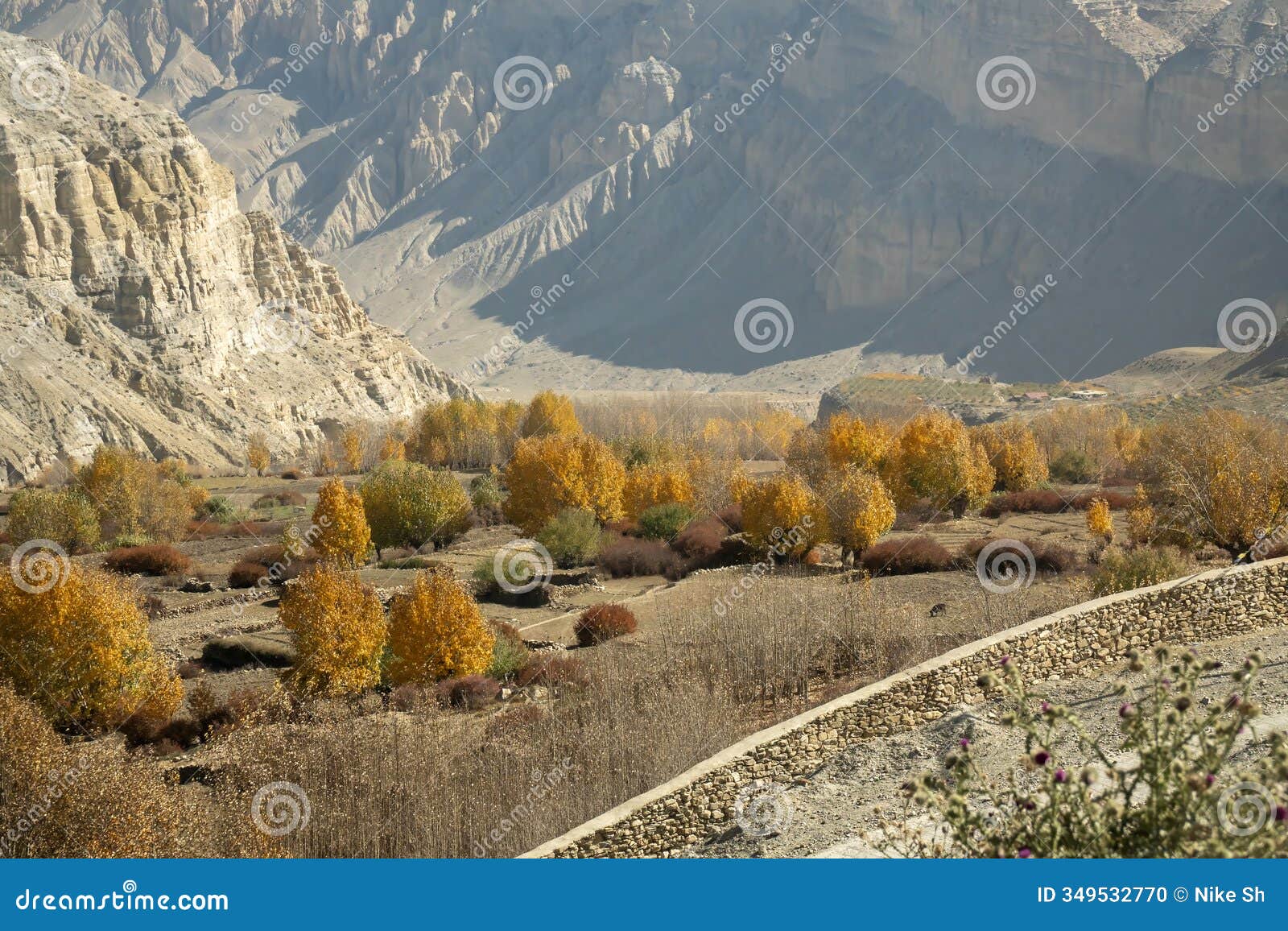 Apple Orchard, Mustang, Nepal Stock Photo - Image of orchards, geology ...