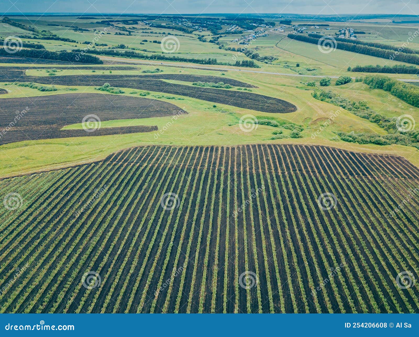 Apple Orchard, View from the Top. Growing Apples in Russia Stock Photo ...