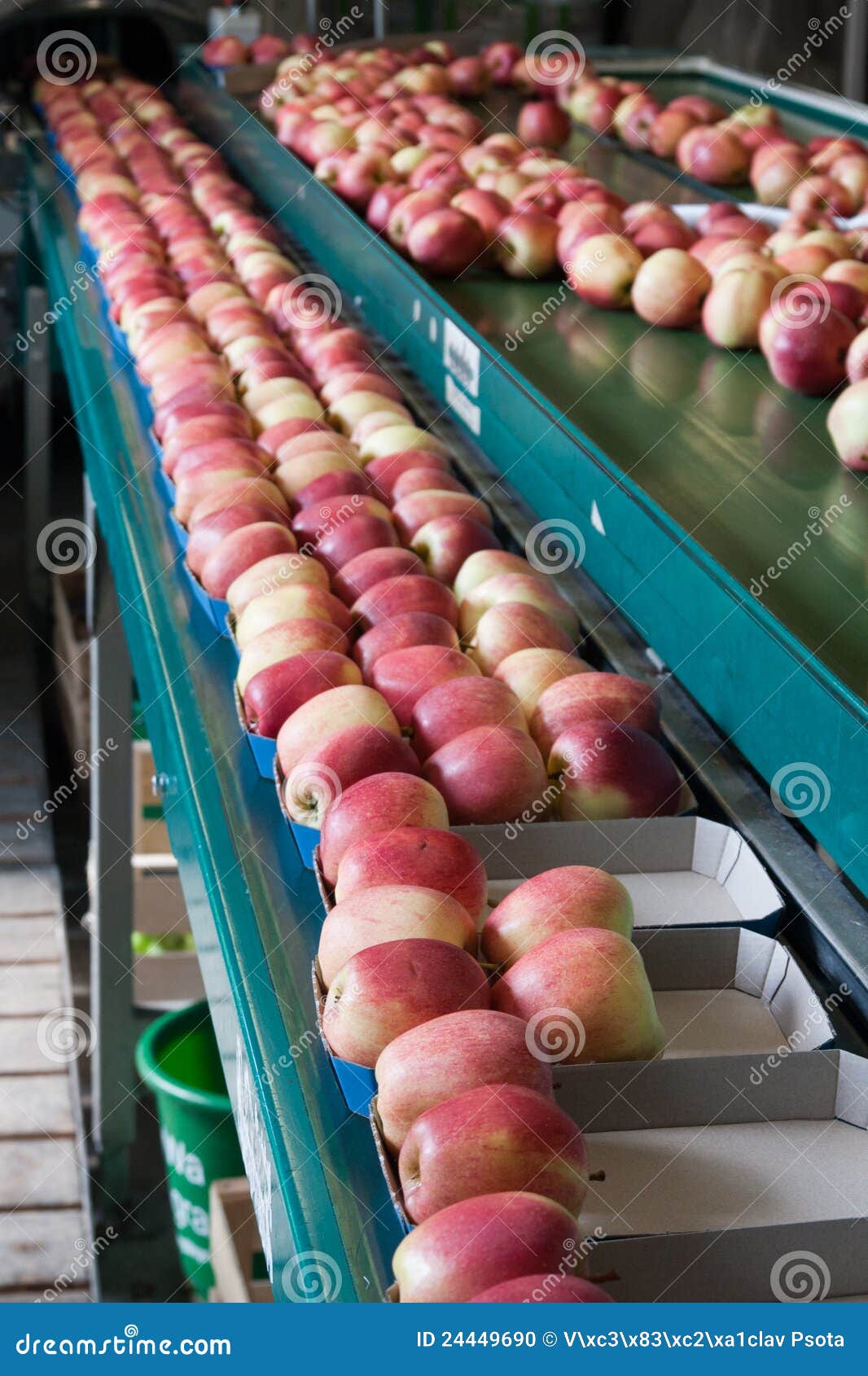 Apple packaging stock photo. Image of preparation, boxing - 24449690