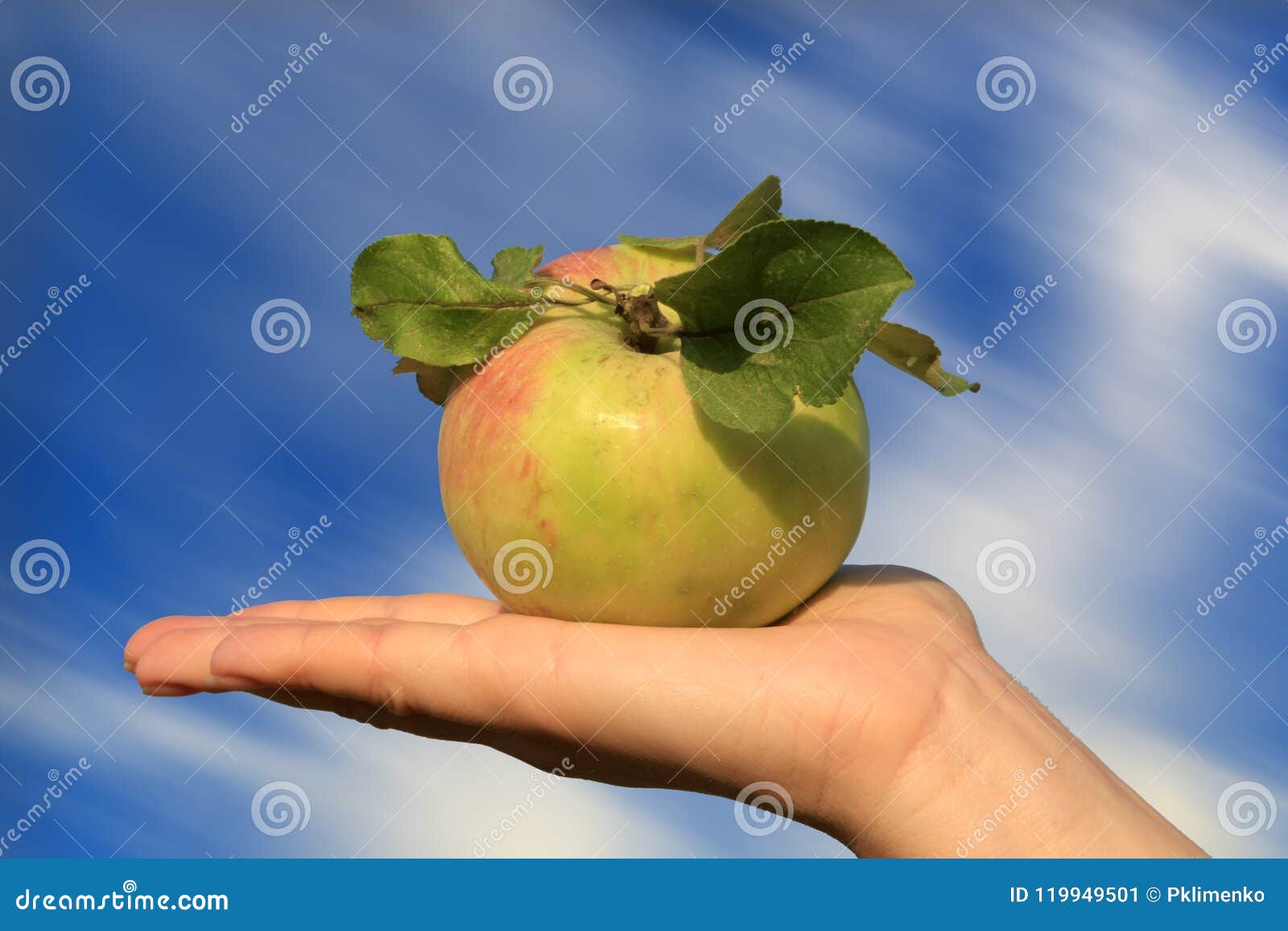 254 Apple Palm Sky Background Photos - Free & Royalty-Free Stock Photos ...