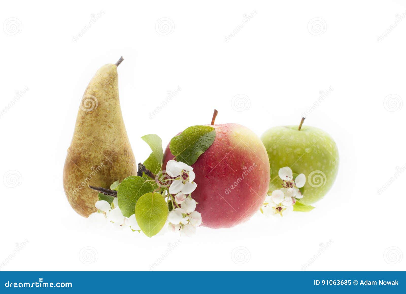 The Apple and the Pear Tree - Fruits Fresh with the Twig of an Apple ...