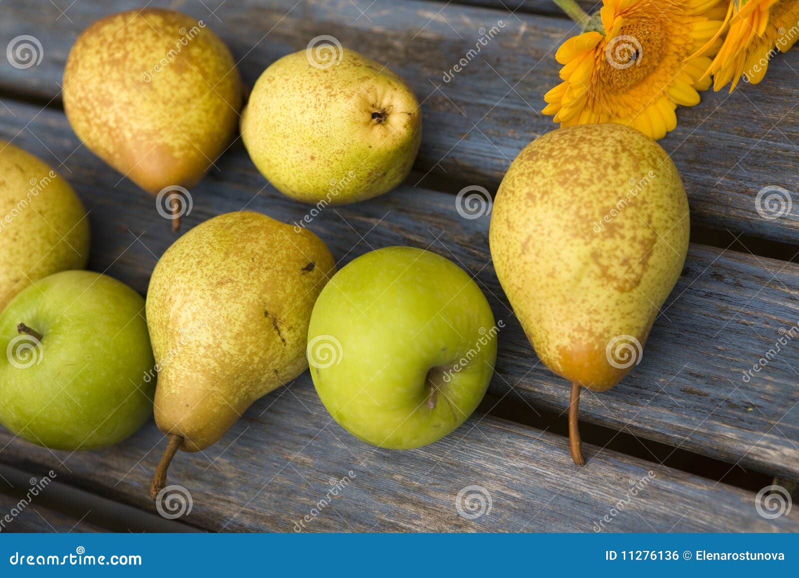 Apple, Pear and Yellow Flower Stock Photo - Image of apple, group: 11276136