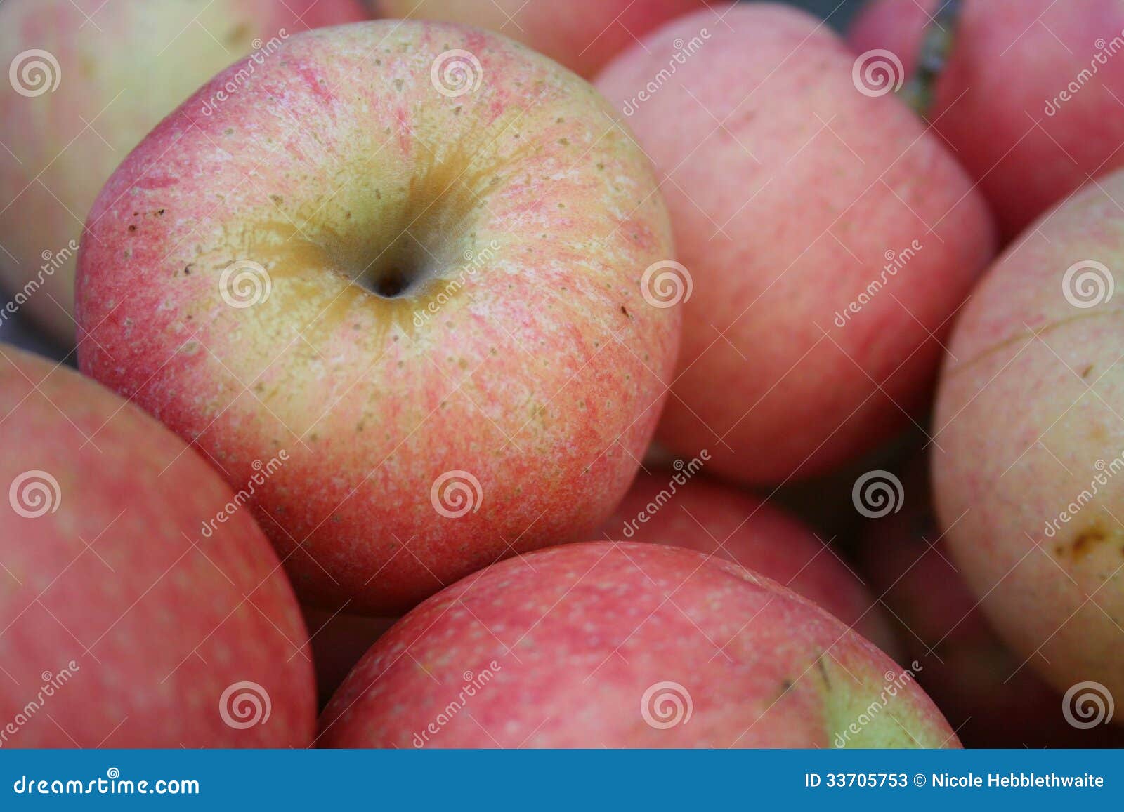 Apple pile stock image. Image of fruit, fall, healthy - 33705753