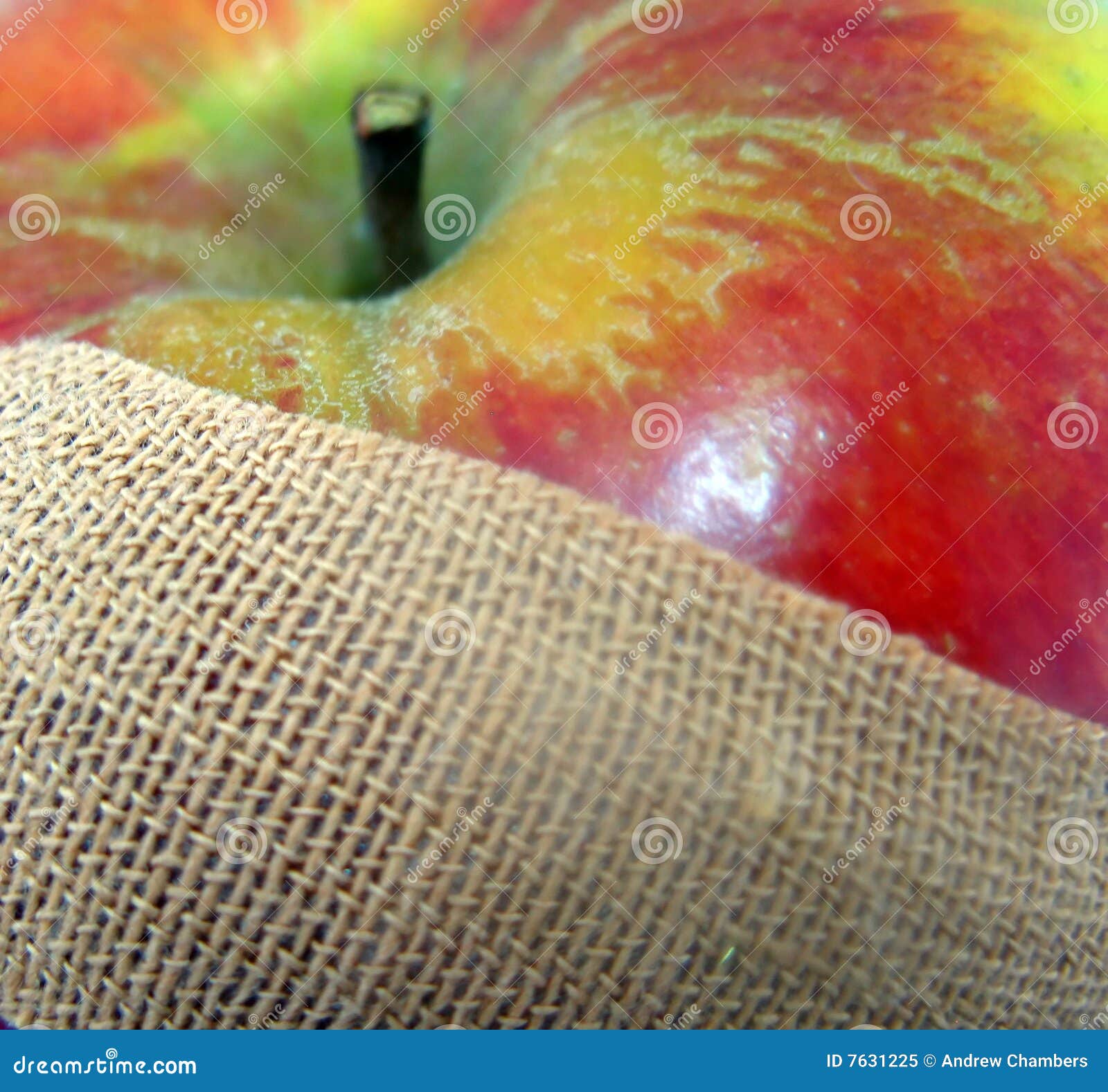 Apple with plaster stock image. Image of shades, plaster - 7631225