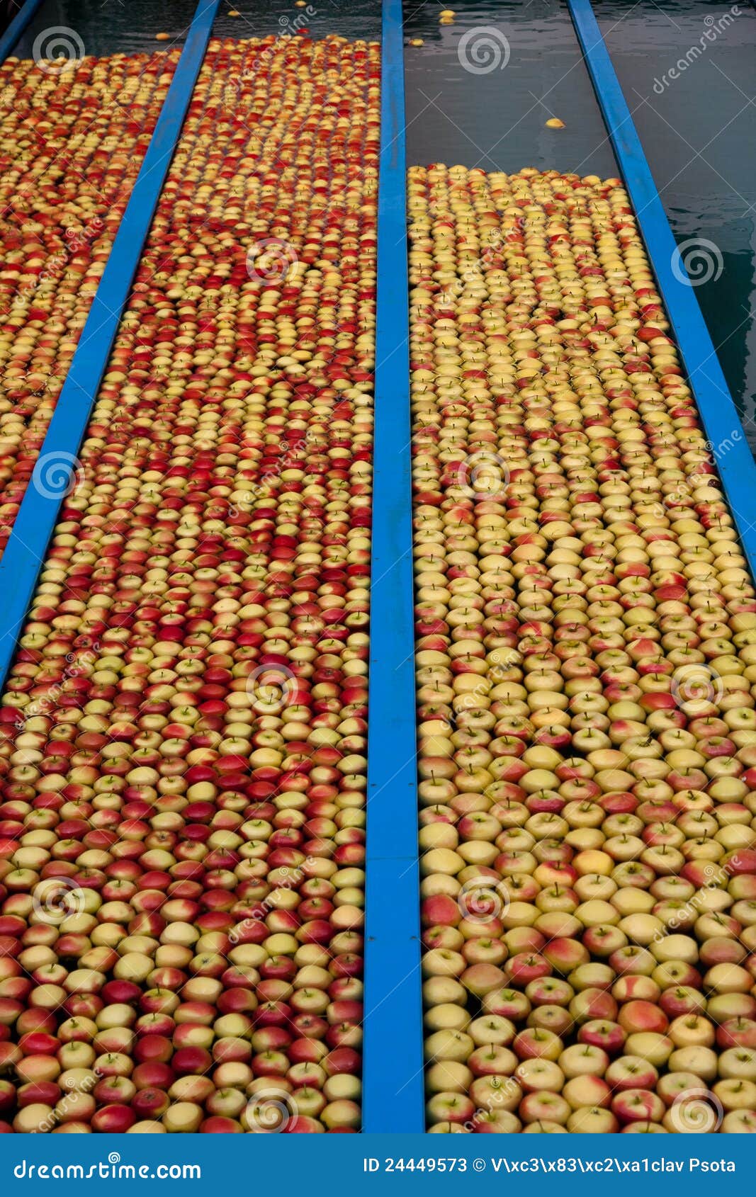Apple production stock image. Image of blue, processing - 24449573