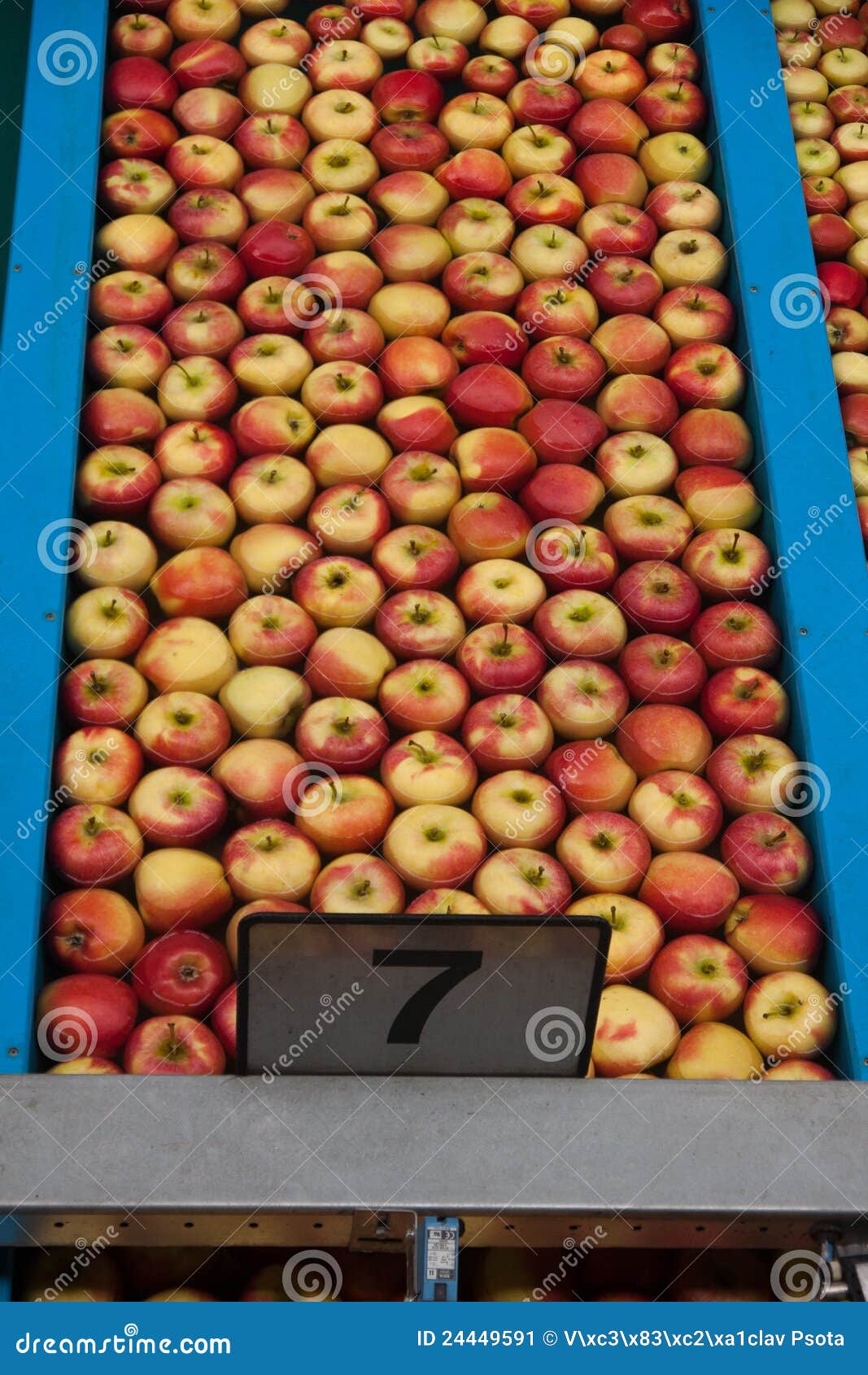 Apple production stock image. Image of processing, selection - 24449591