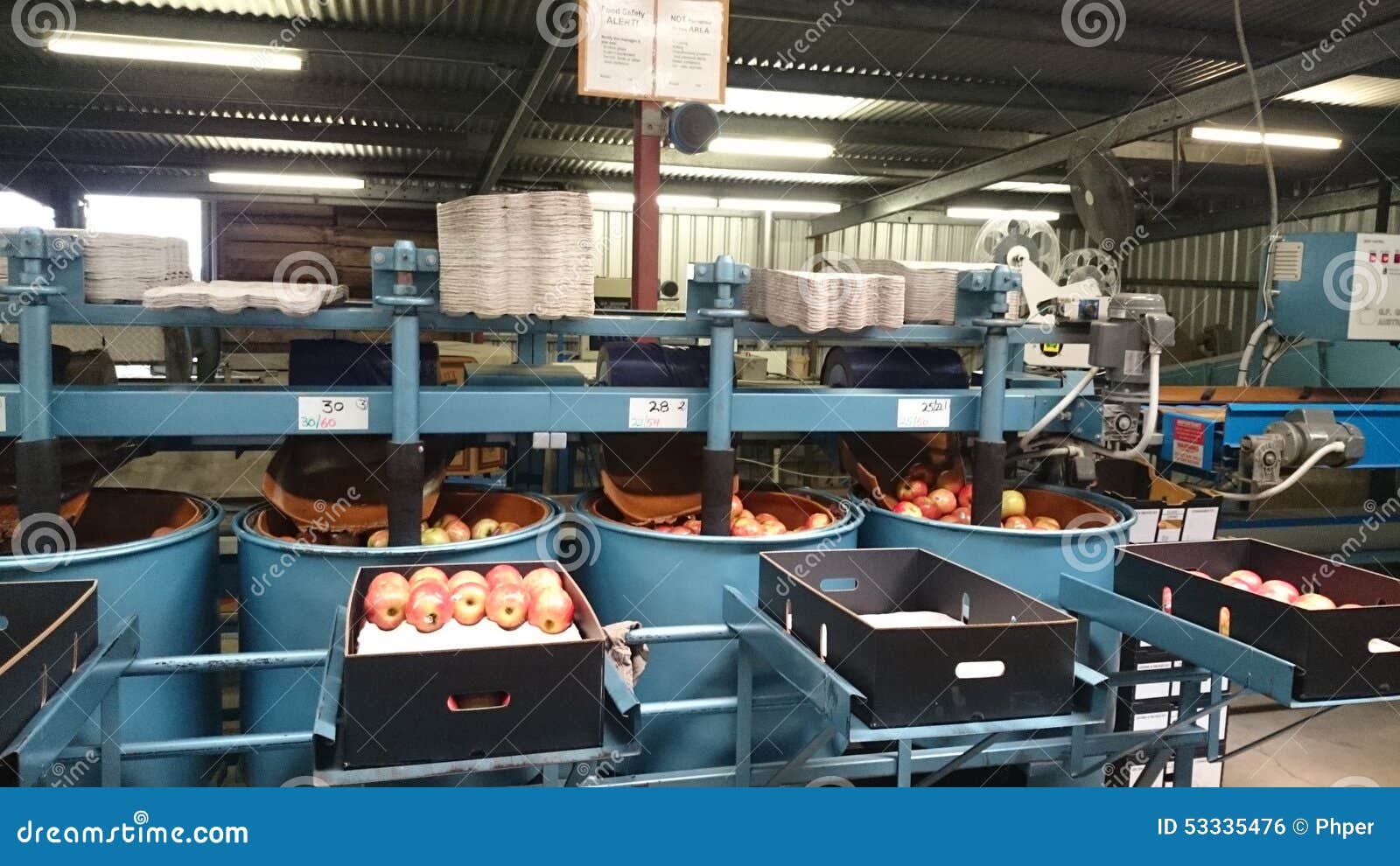 Apple Production Line editorial photo. Image of industry - 53335476