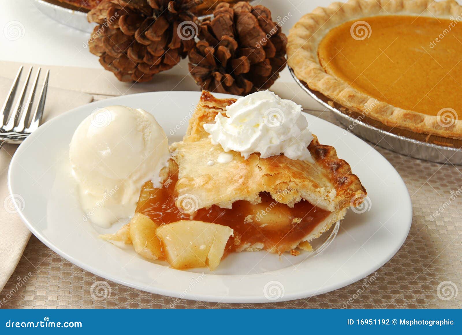 Apple and pumpkin pie stock photo. Image of potato, feast - 16951192