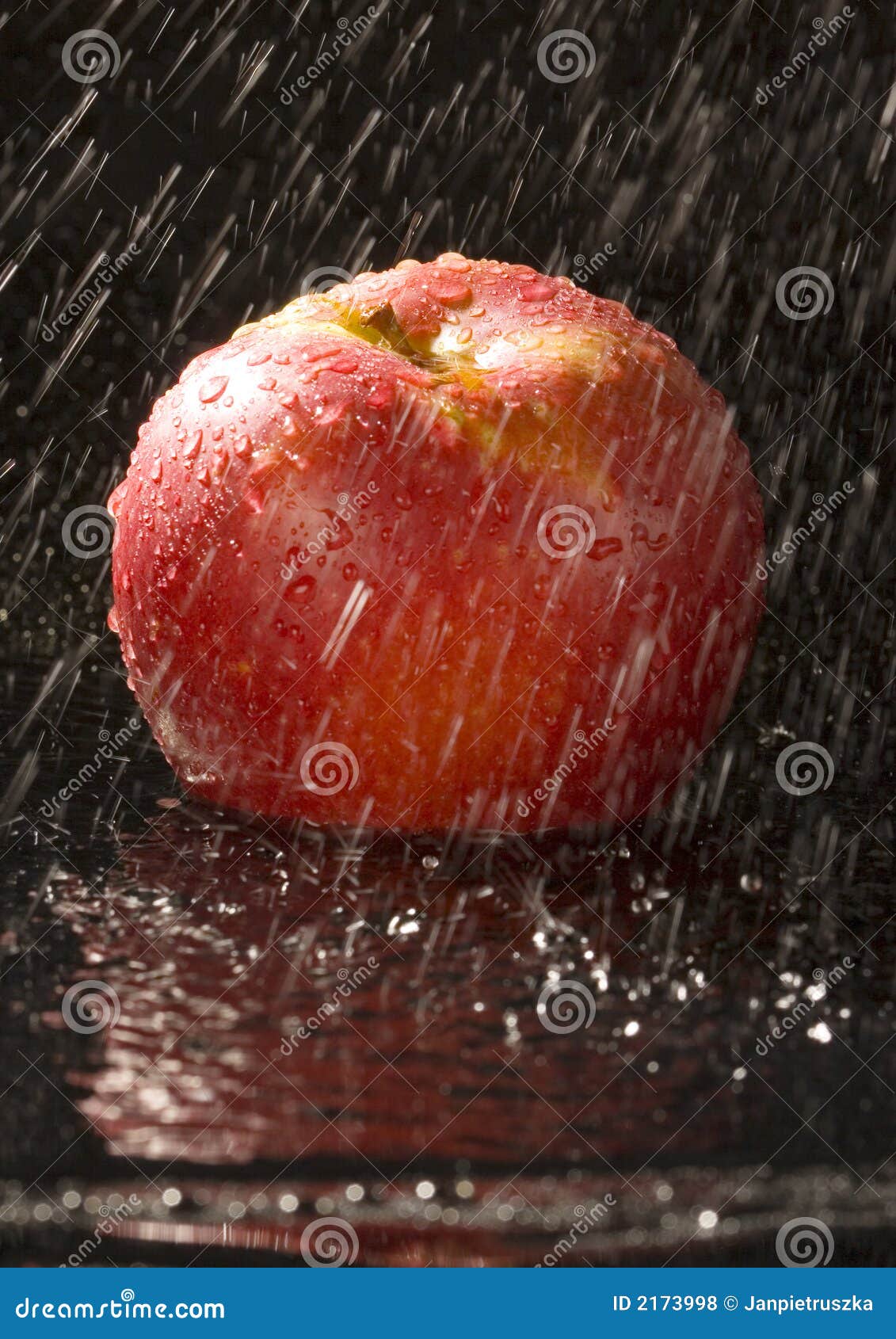 Apple in the rain stock photo. Image of cuisine, fresh - 2173998