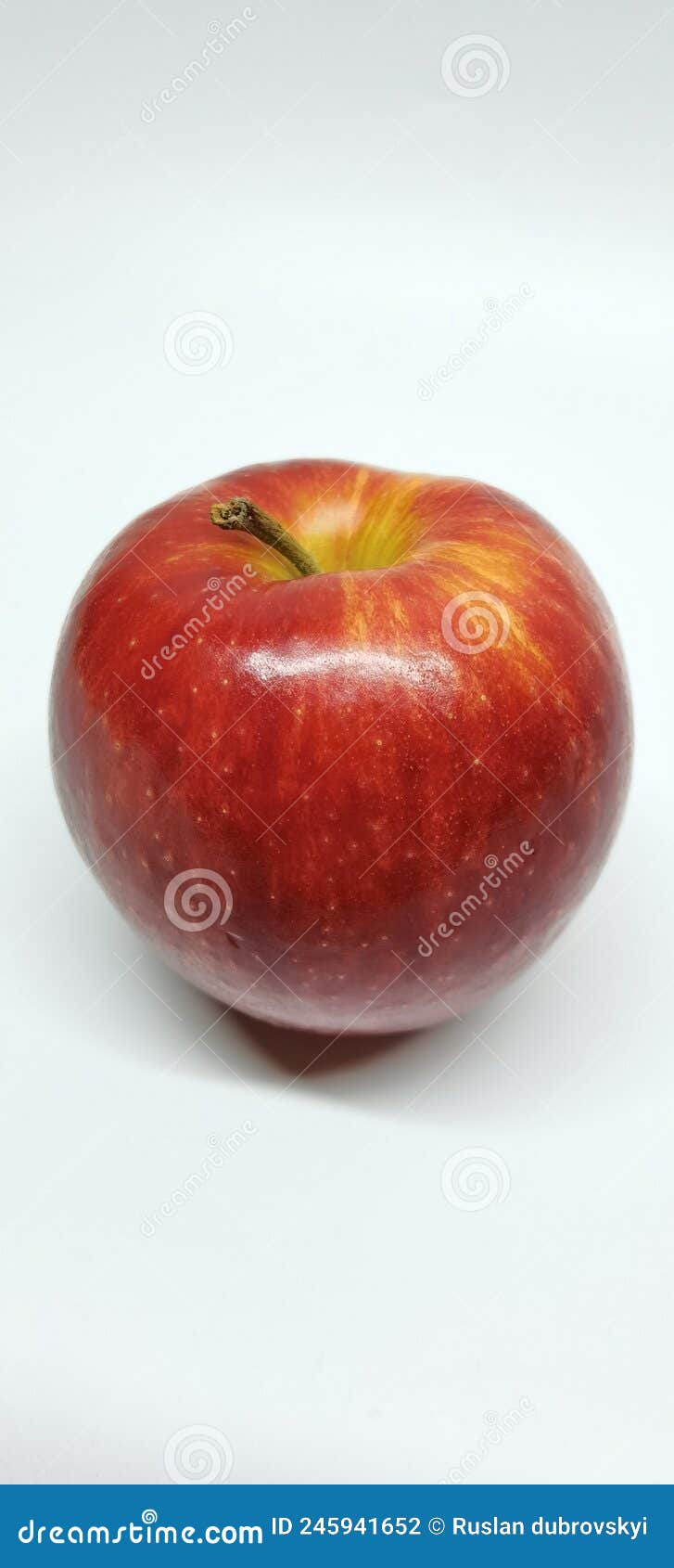 The apple is red stock photo. Image of citrus, berry - 245941652