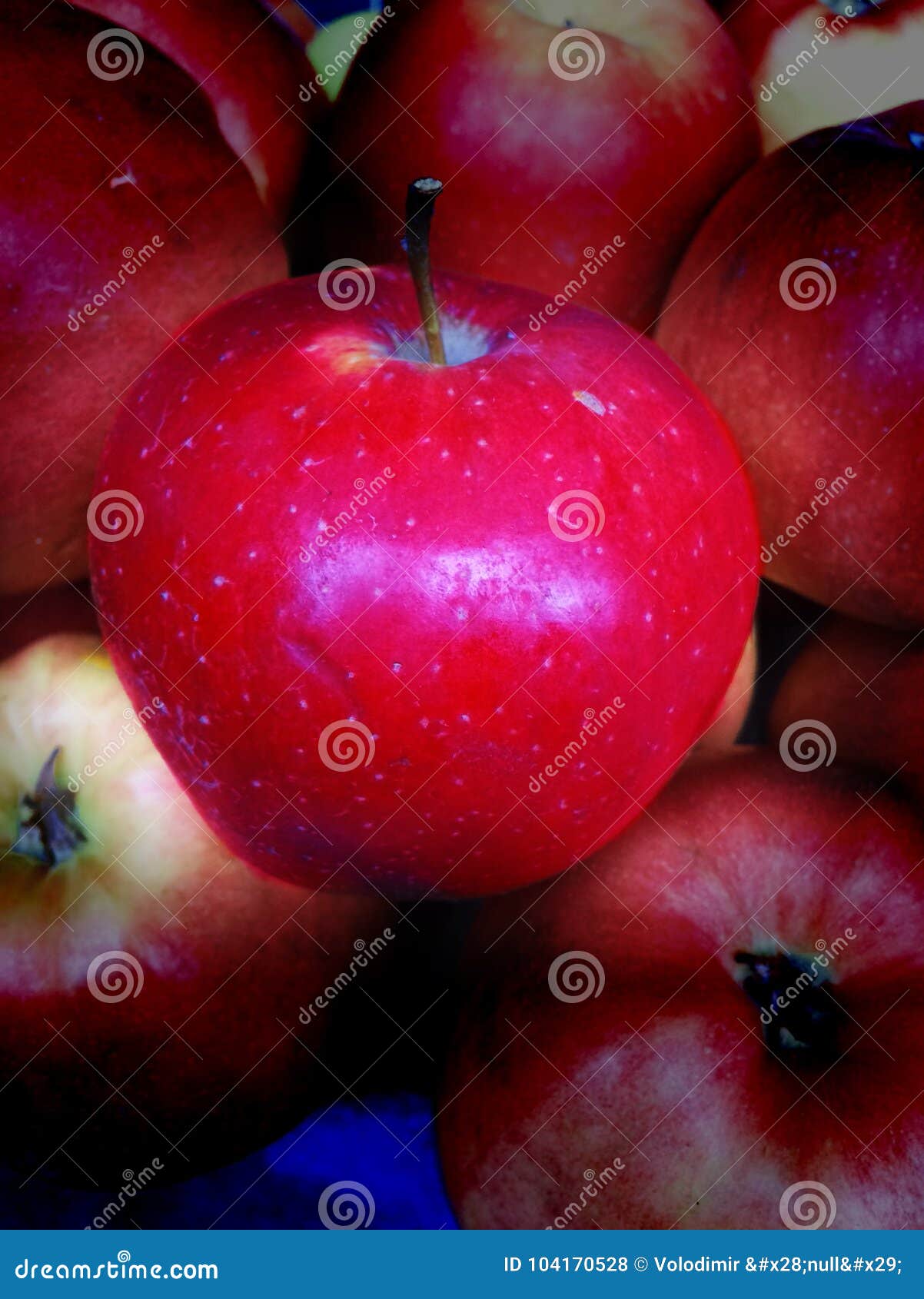 Apple stock photo. Image of apples, apple, beautiful - 104170528